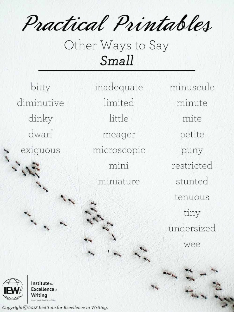 IEW Practical Printables