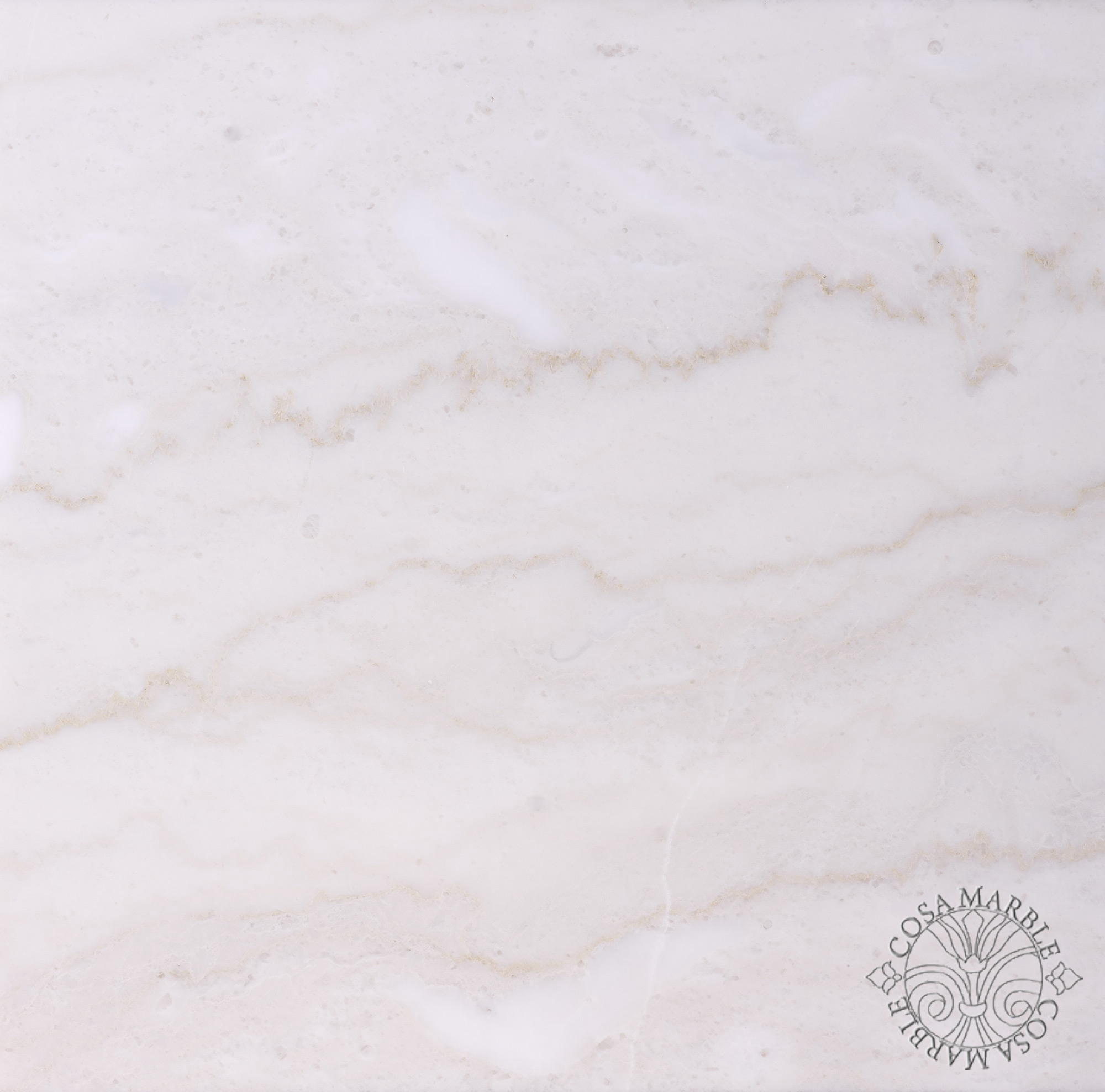 Cosa Marble: 18 x 18 Polished | marble