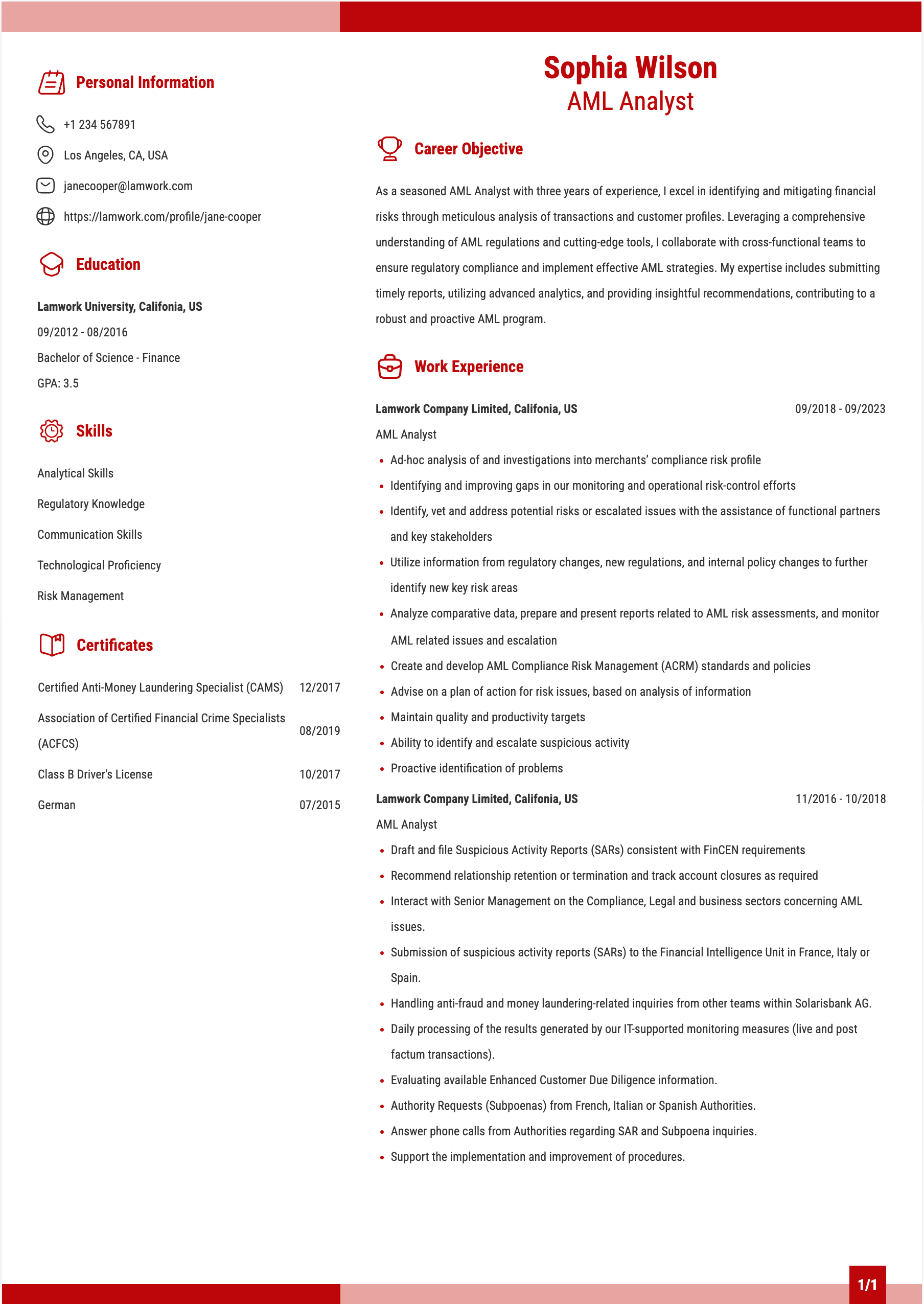 AML Analyst Resume Example