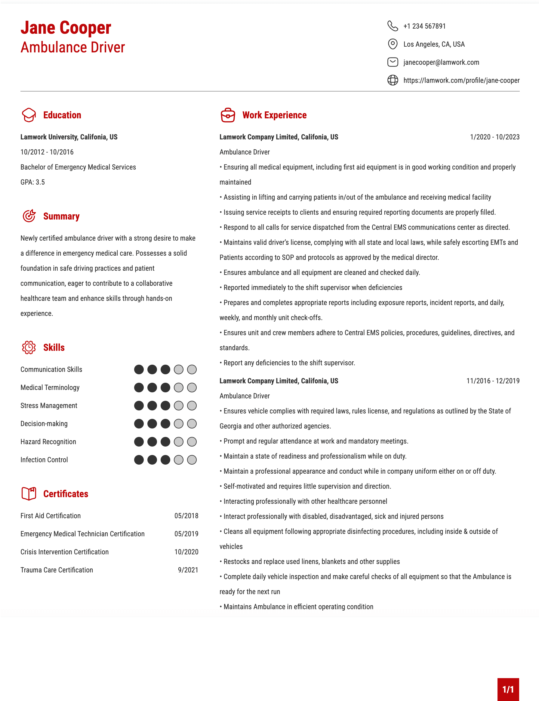 Ambulance Driver Resume Example