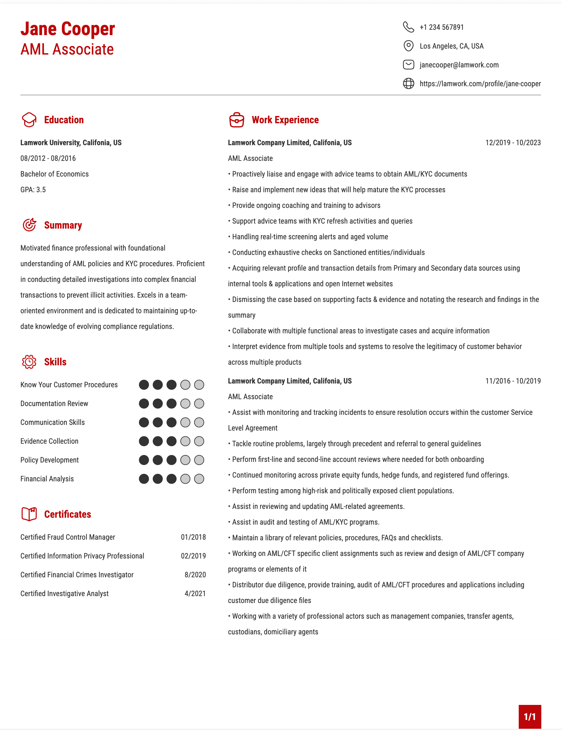 AML Associate Resume Example