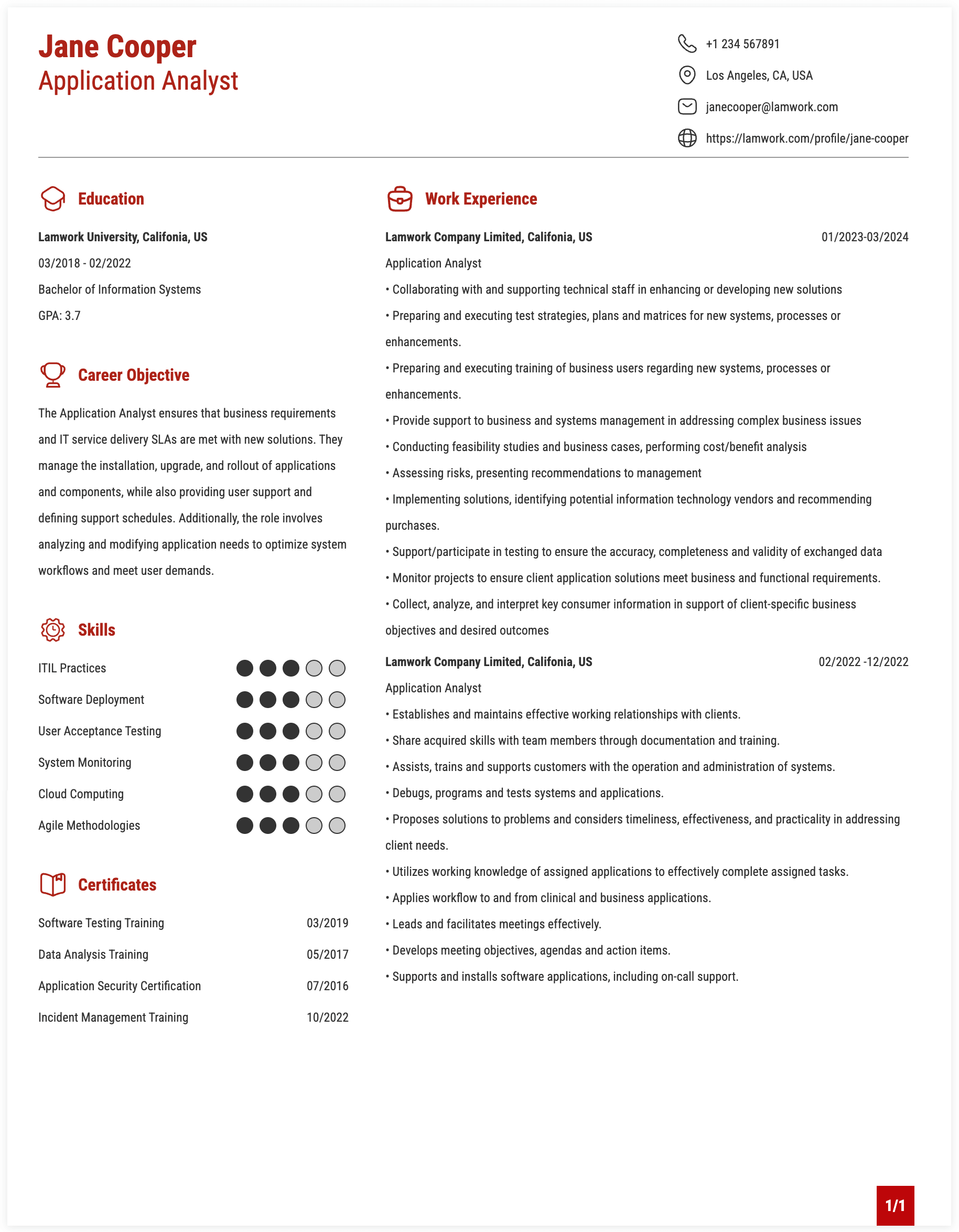 Application Analyst Resume Example