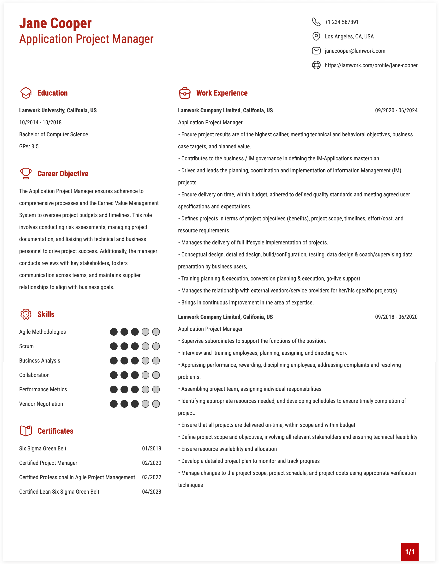 Application Project Manager Resume Example