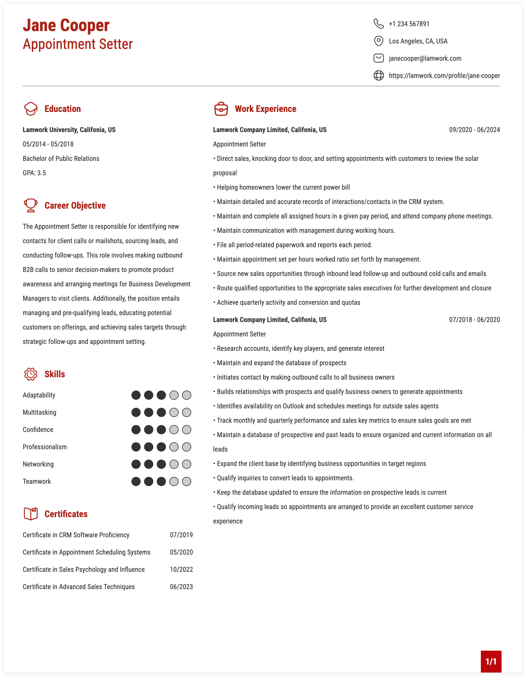 Appointment Setter Resume Example