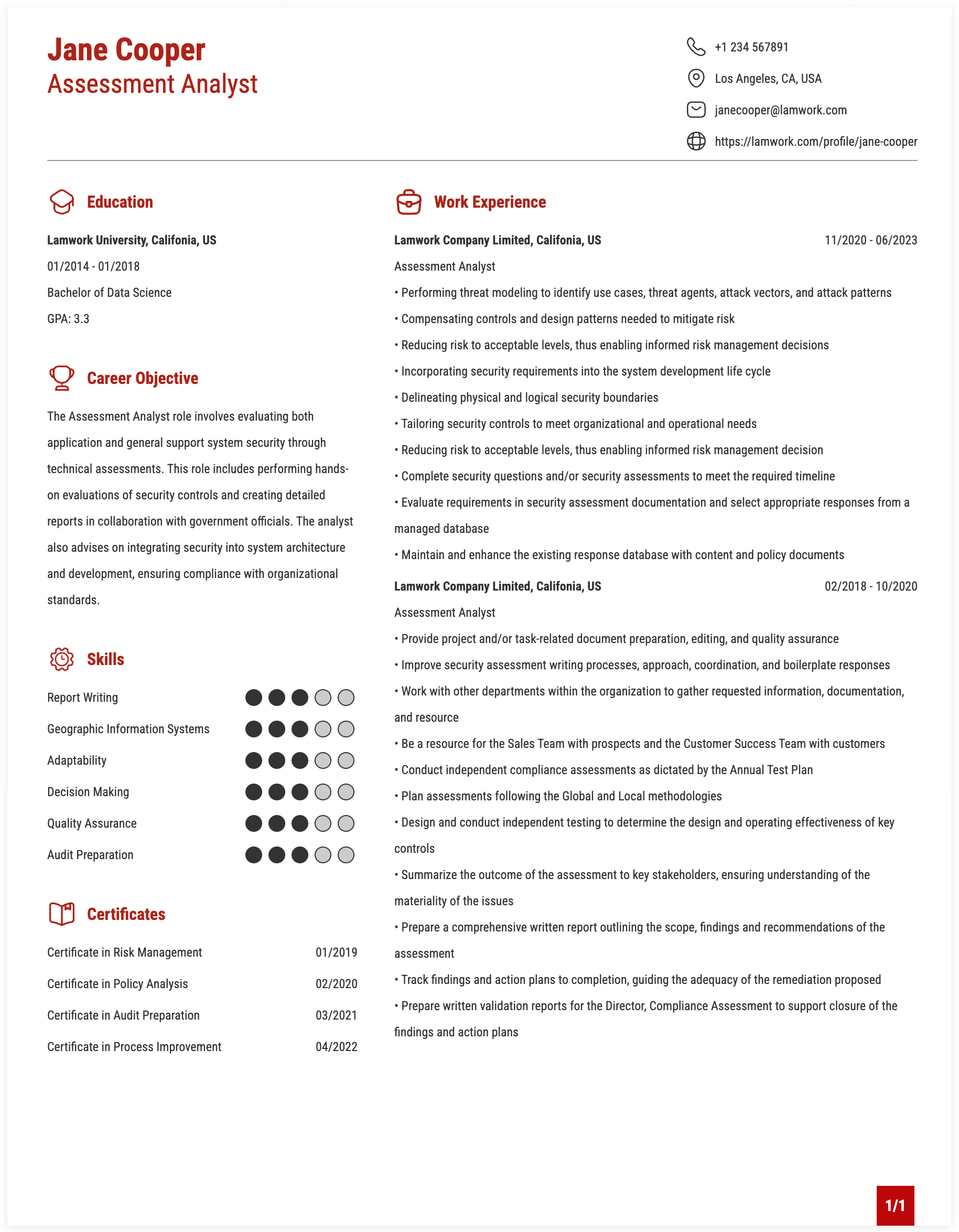 Assessment Analyst Resume Example