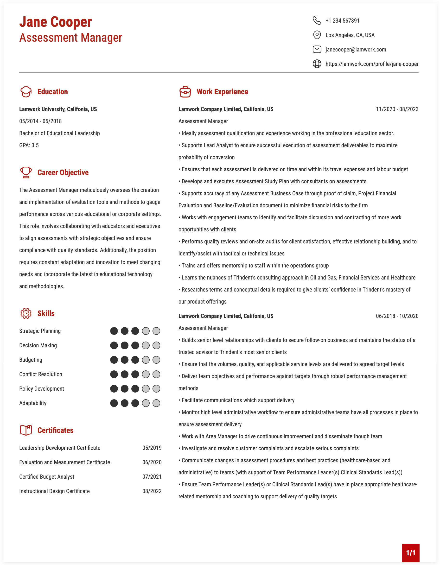 Assessment Manager Resume Example