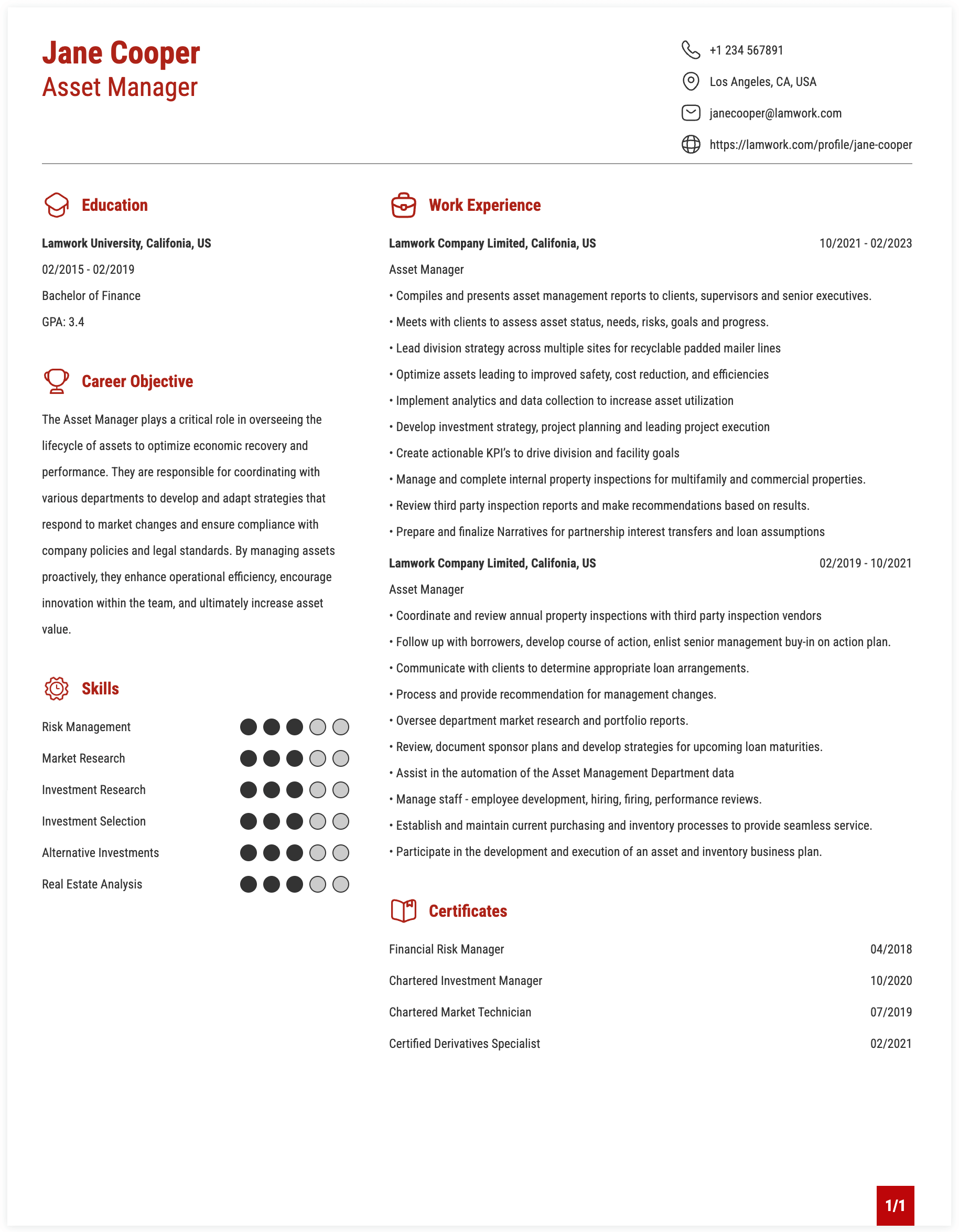Asset Manager Resume Example