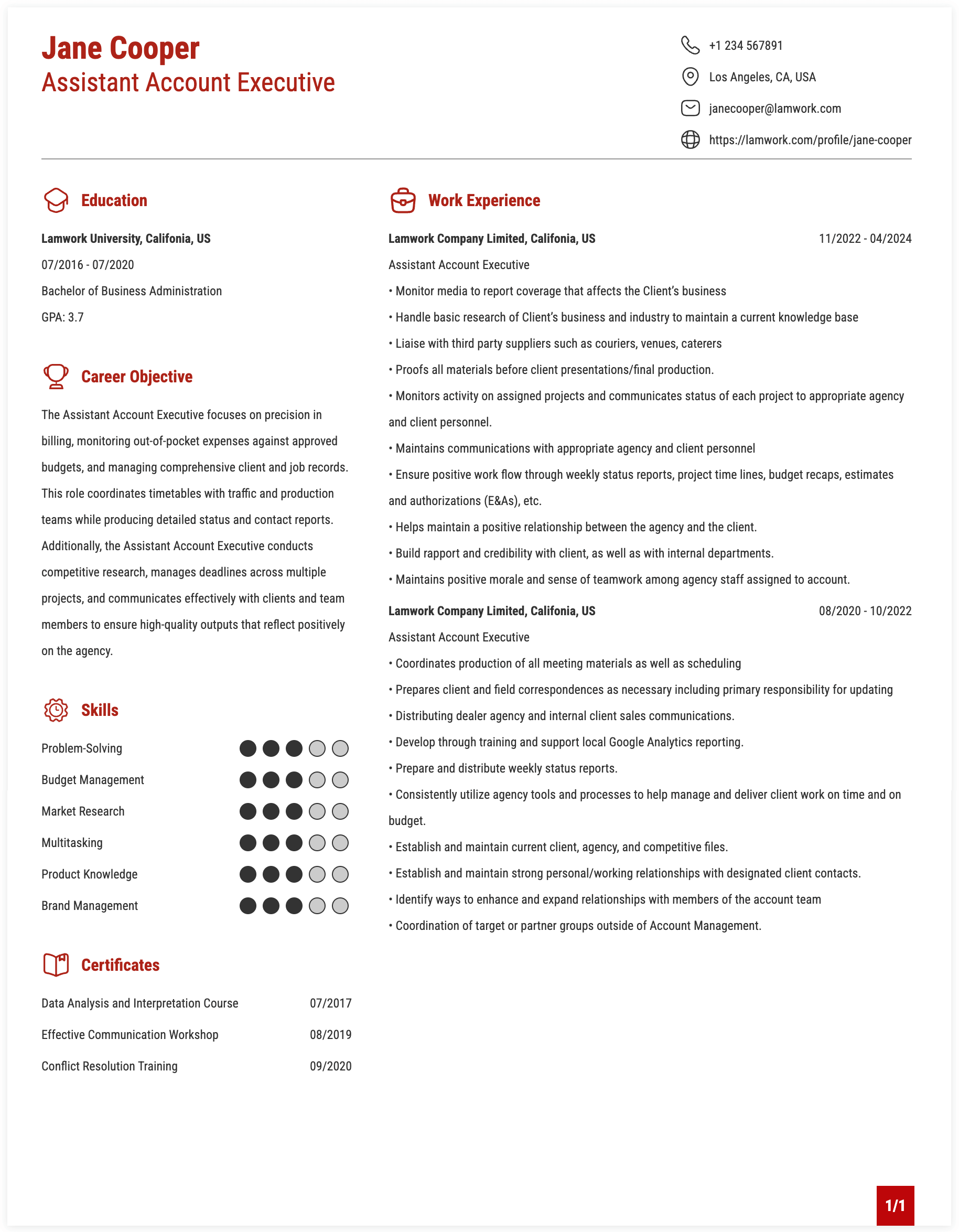 Assistant Account Executive Resume Example