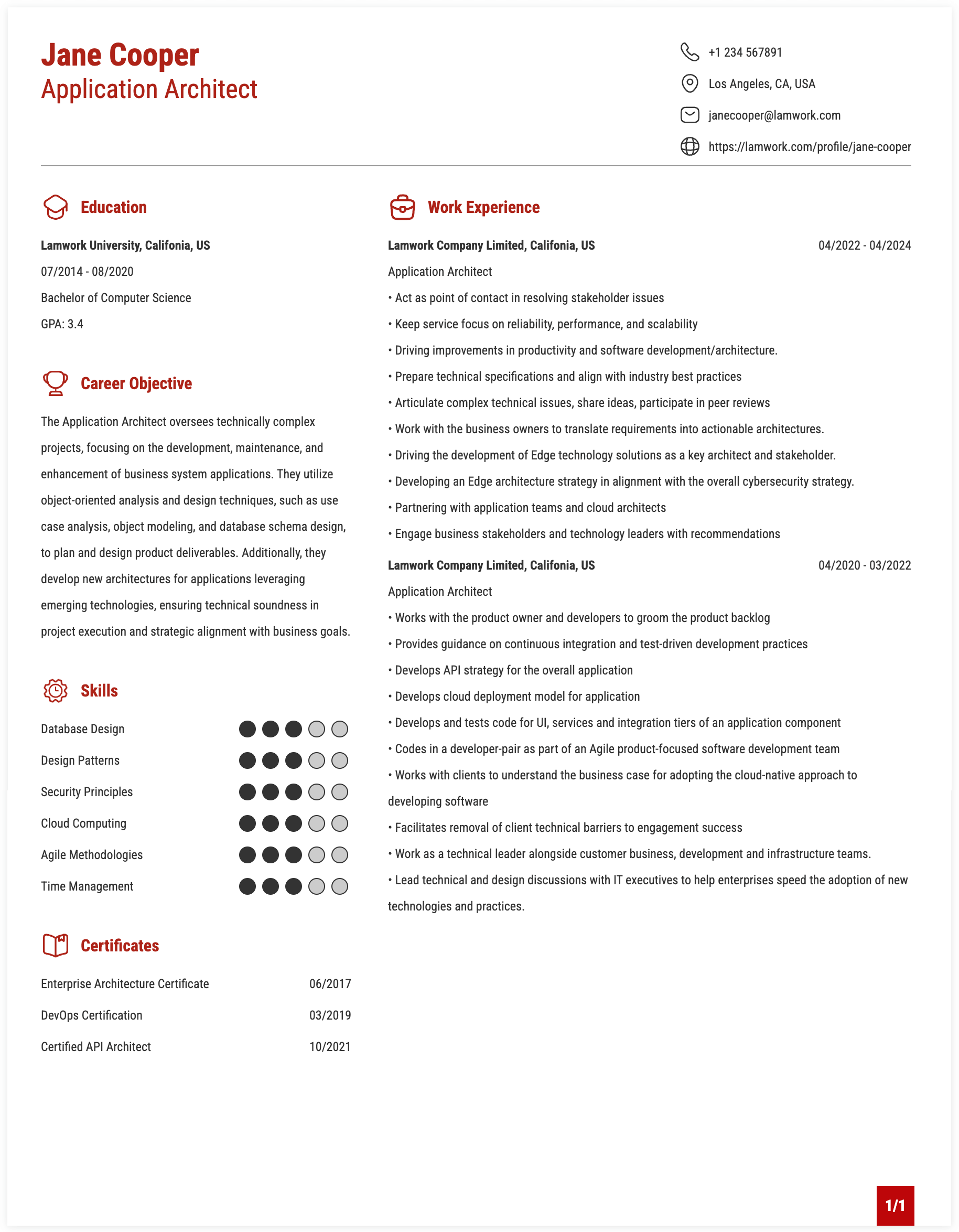 Application Architect Resume Example