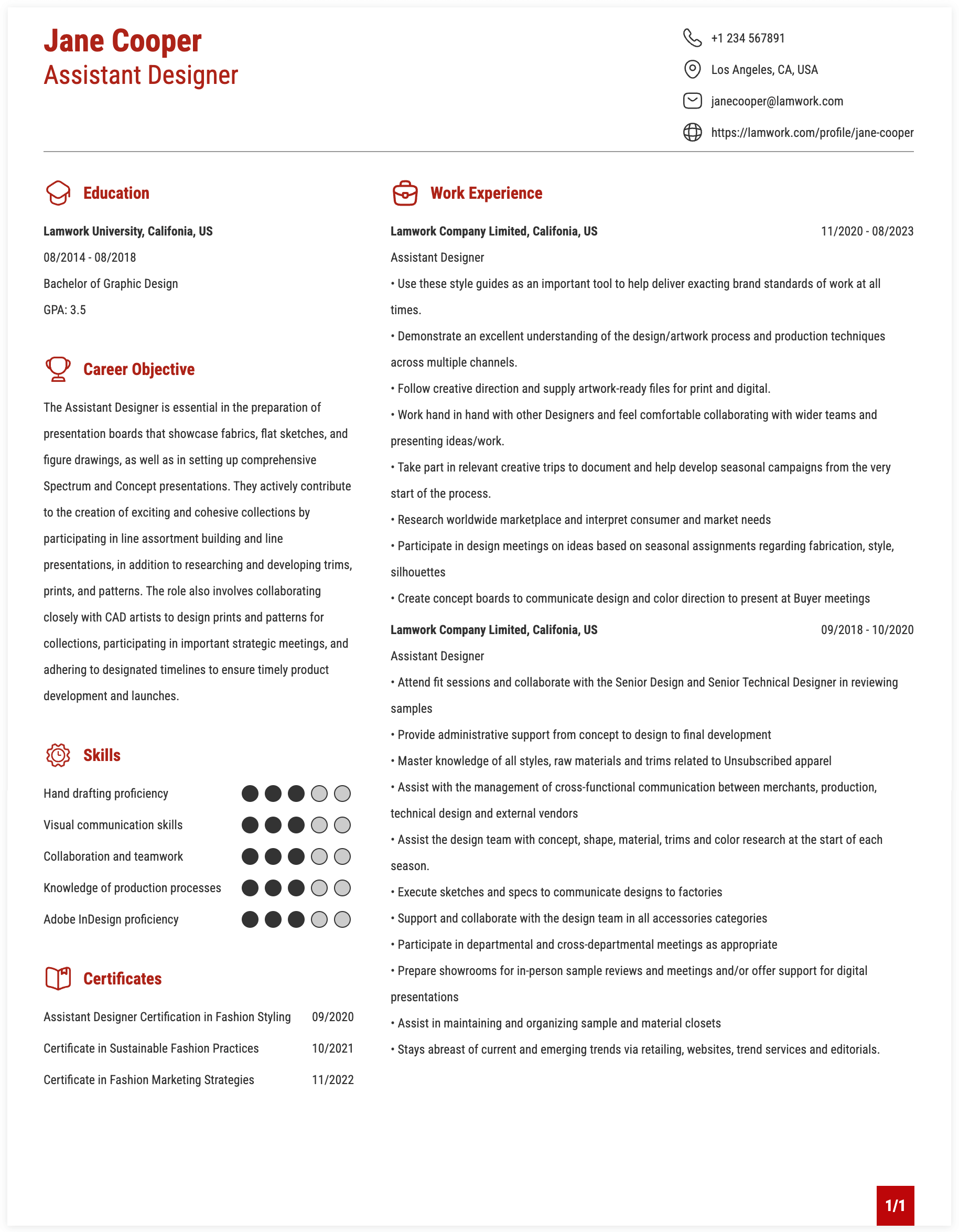 Assistant Designer Resume Example