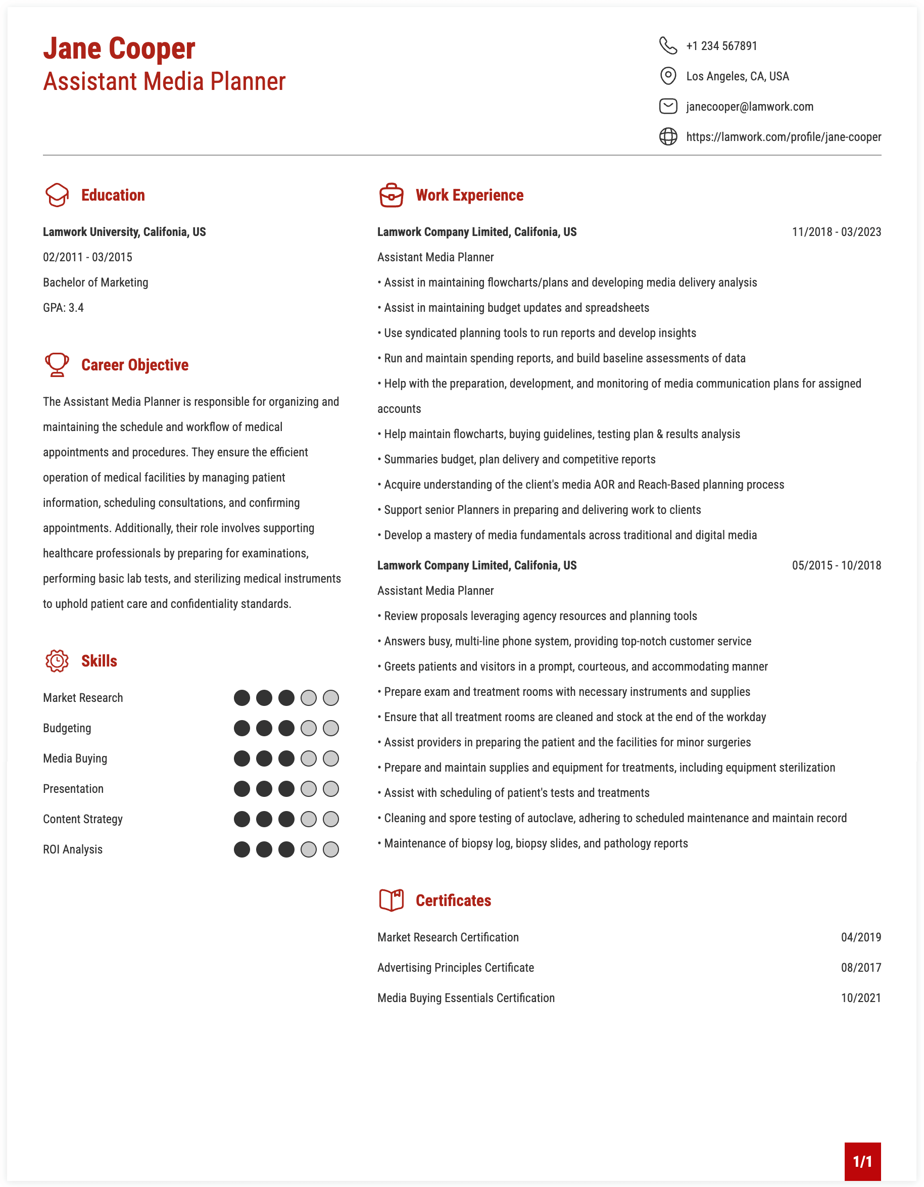 Assistant Media Planner Resume Example