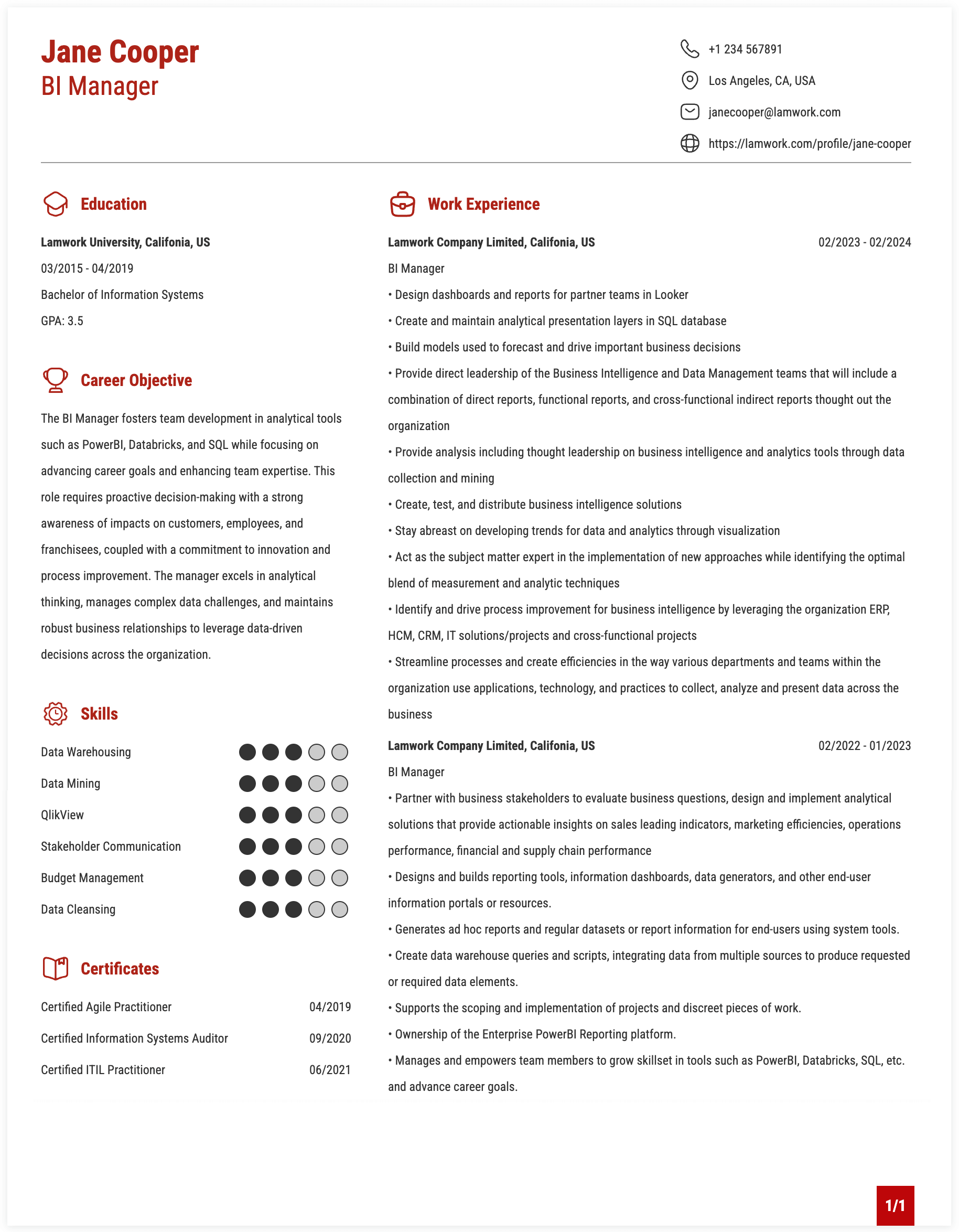 BI Manager Resume Example