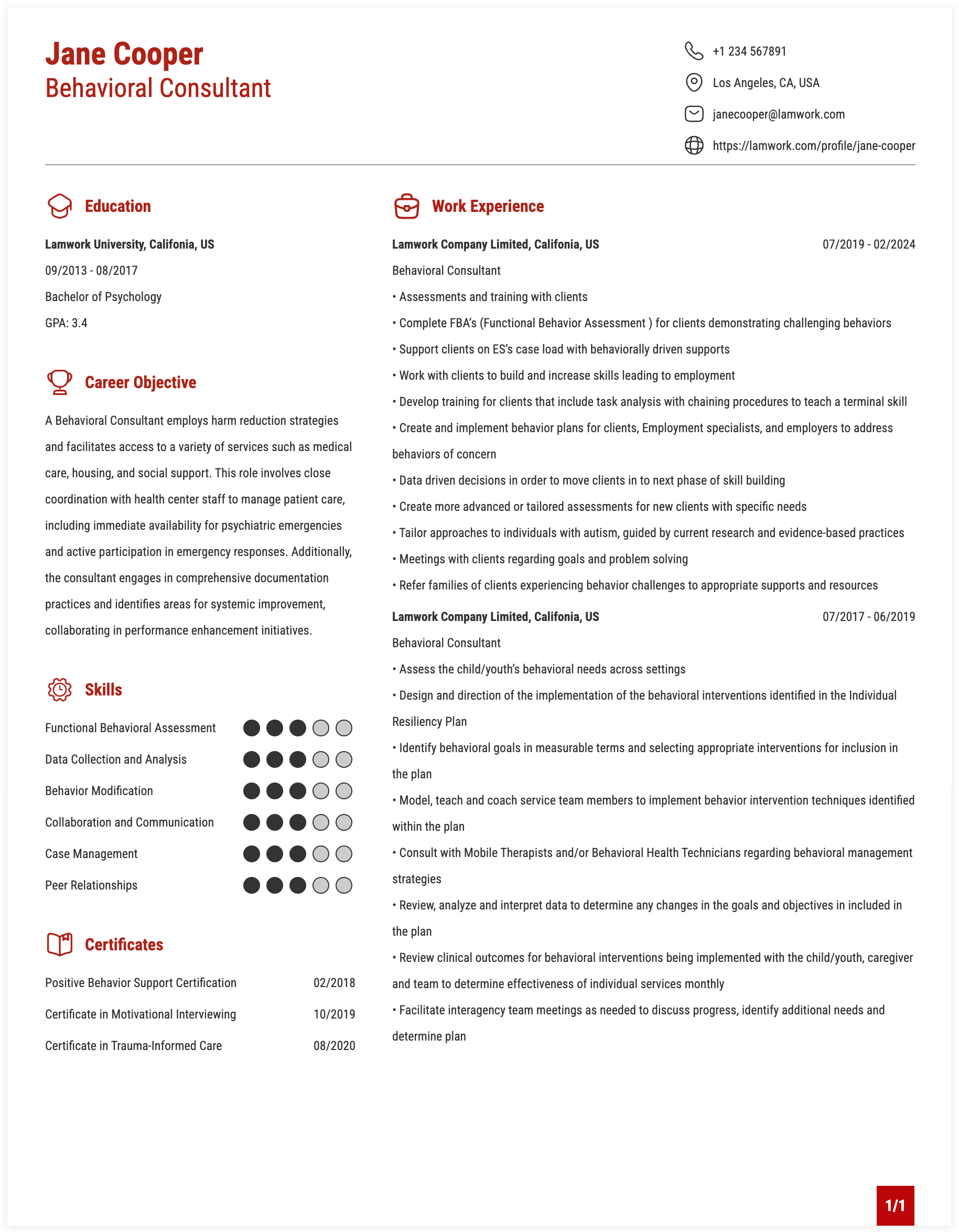 Behavioral Consultant Resume Example