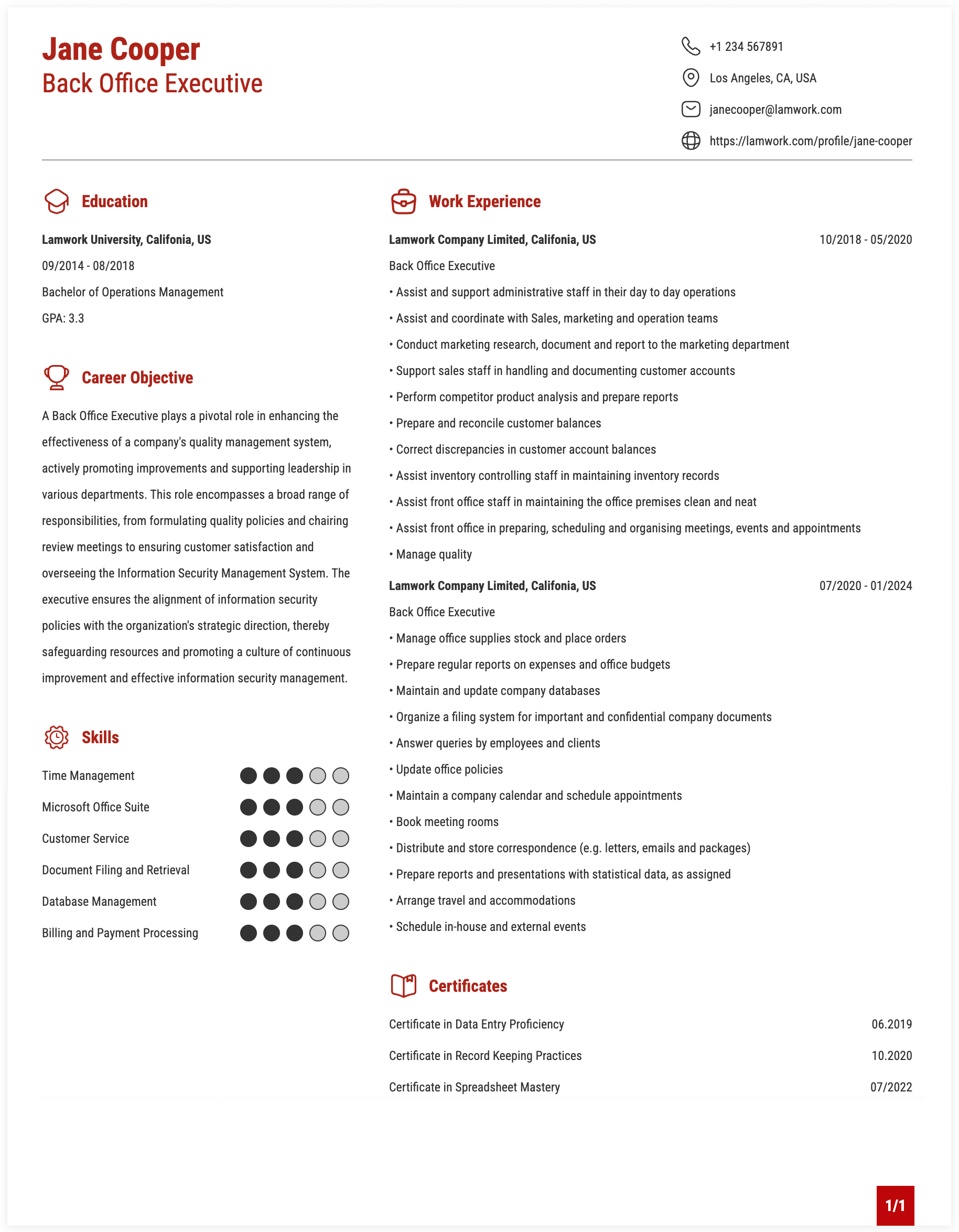 Back Office Executive Resume Example