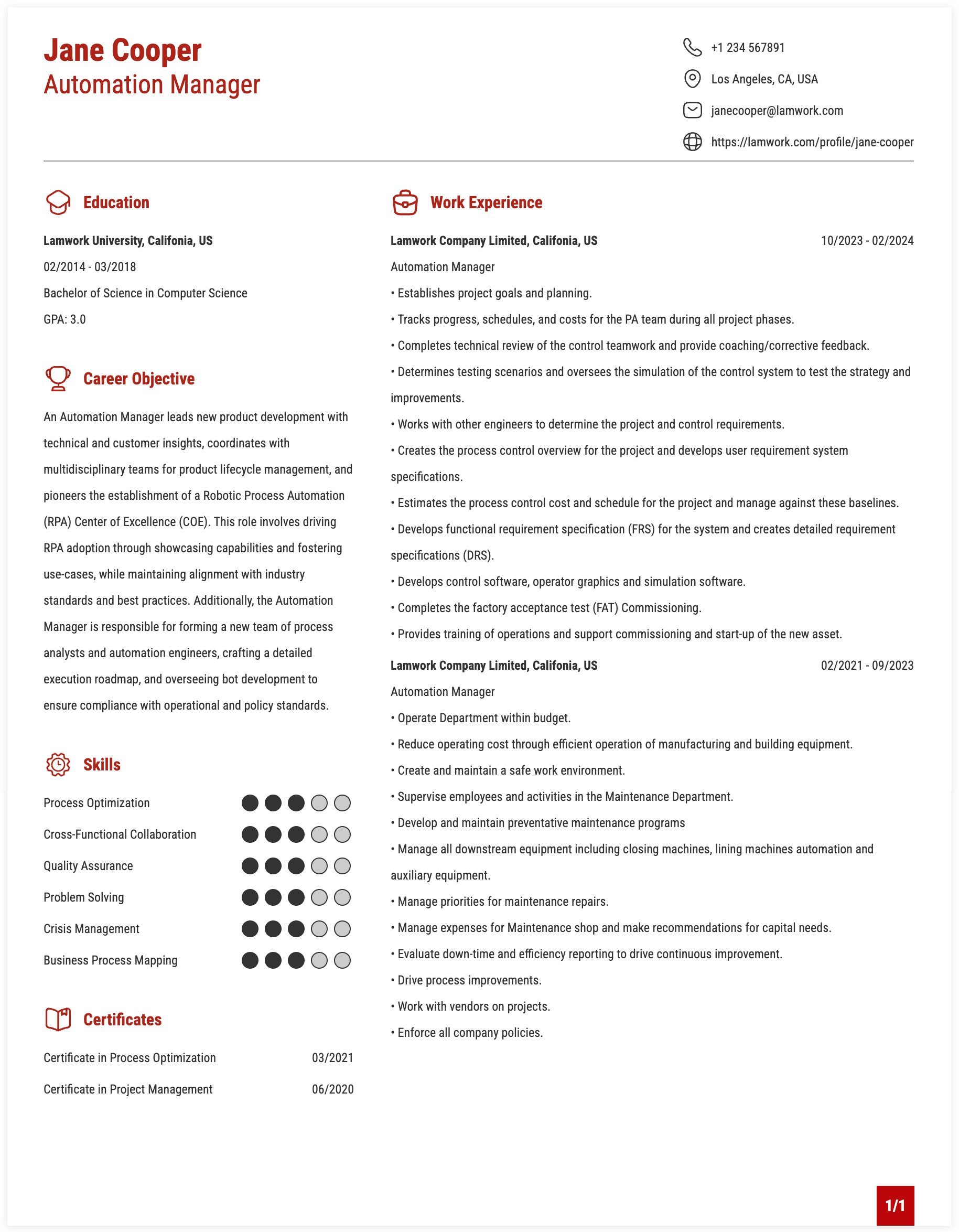 Automation Manager Resume Example