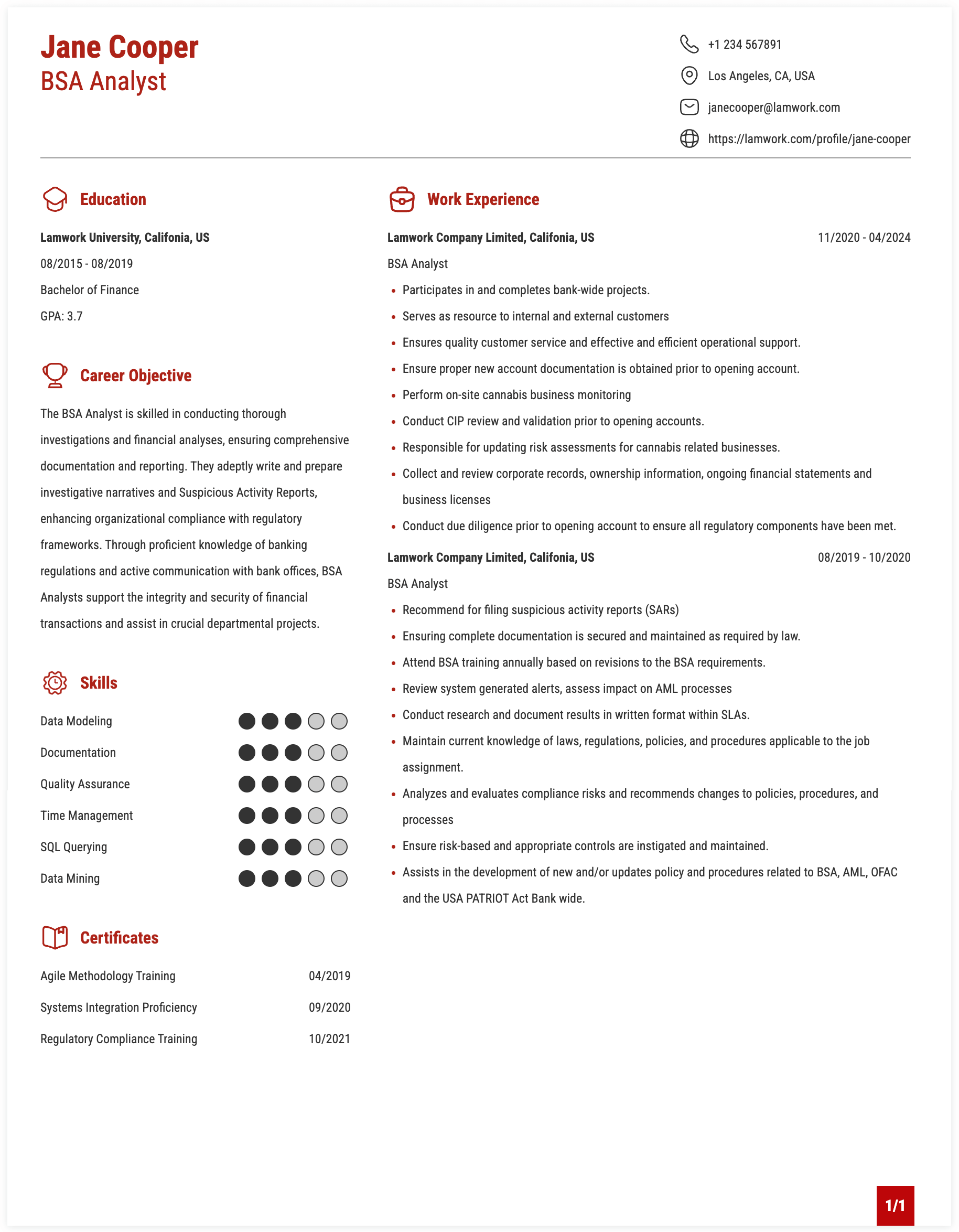 BSA Analyst Resume Example