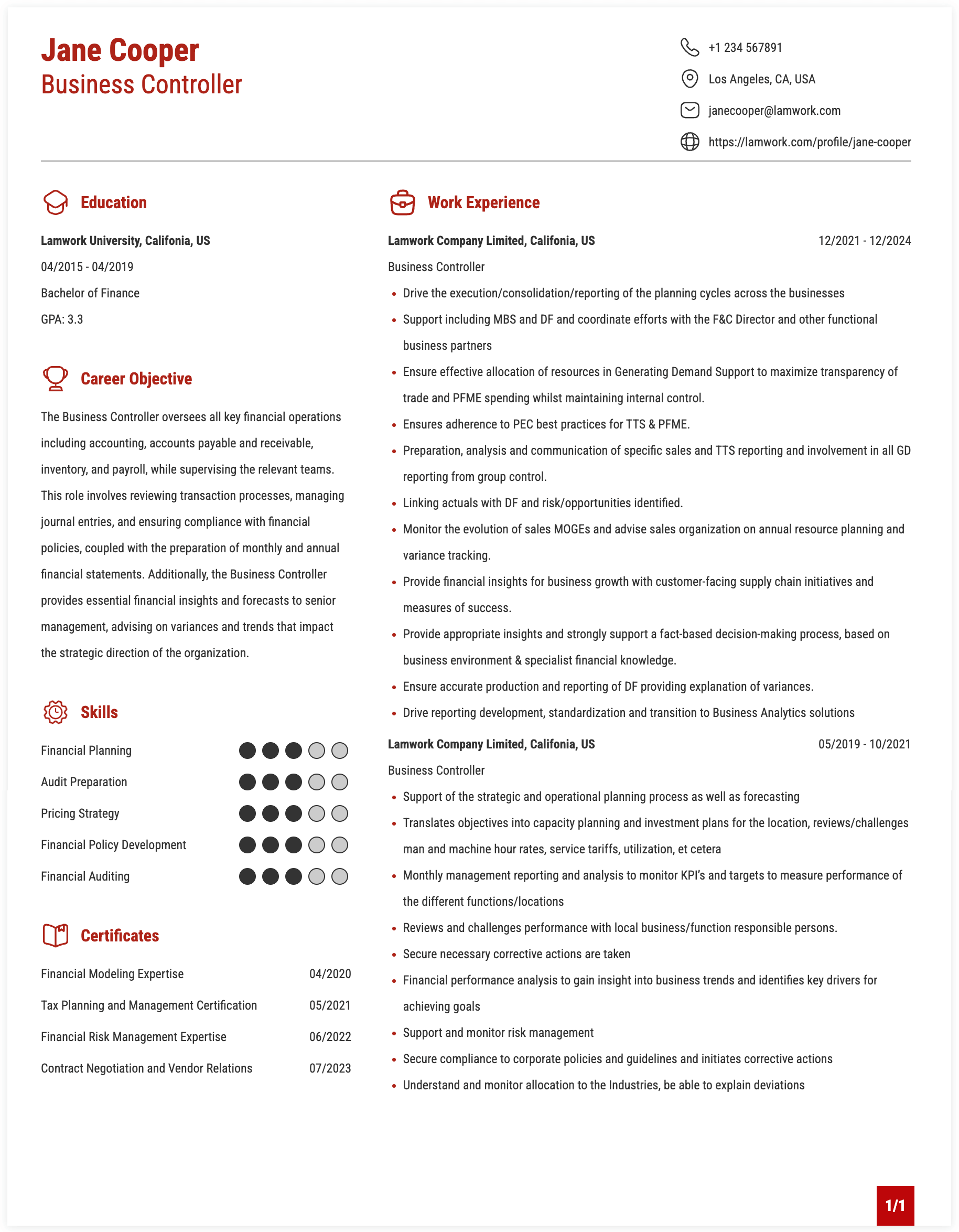 Business Controller Resume Example