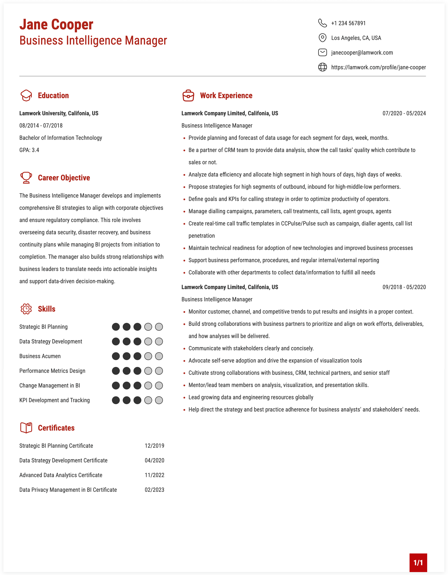Business Intelligence Manager Resume Example