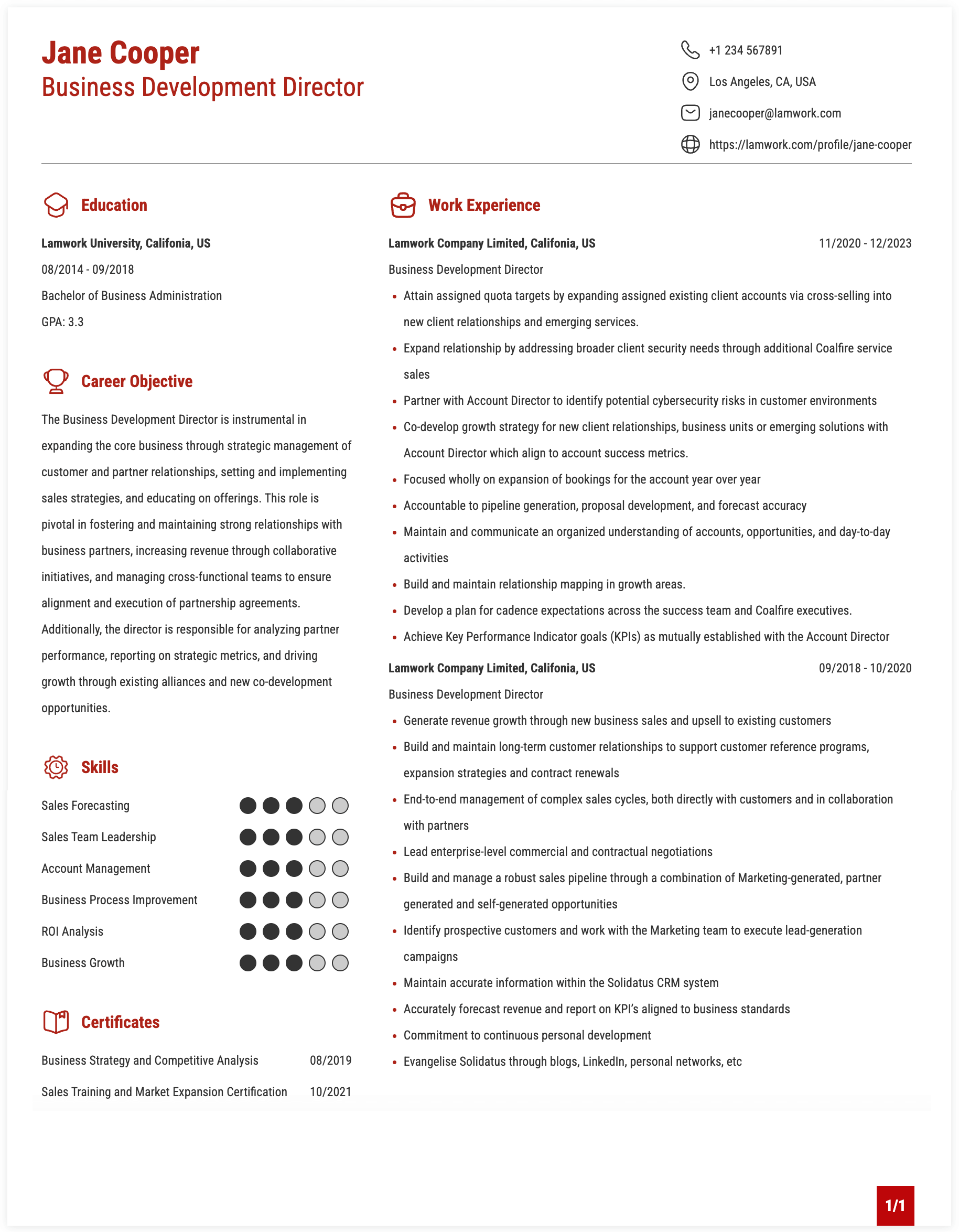 Business Development Director Resume Example