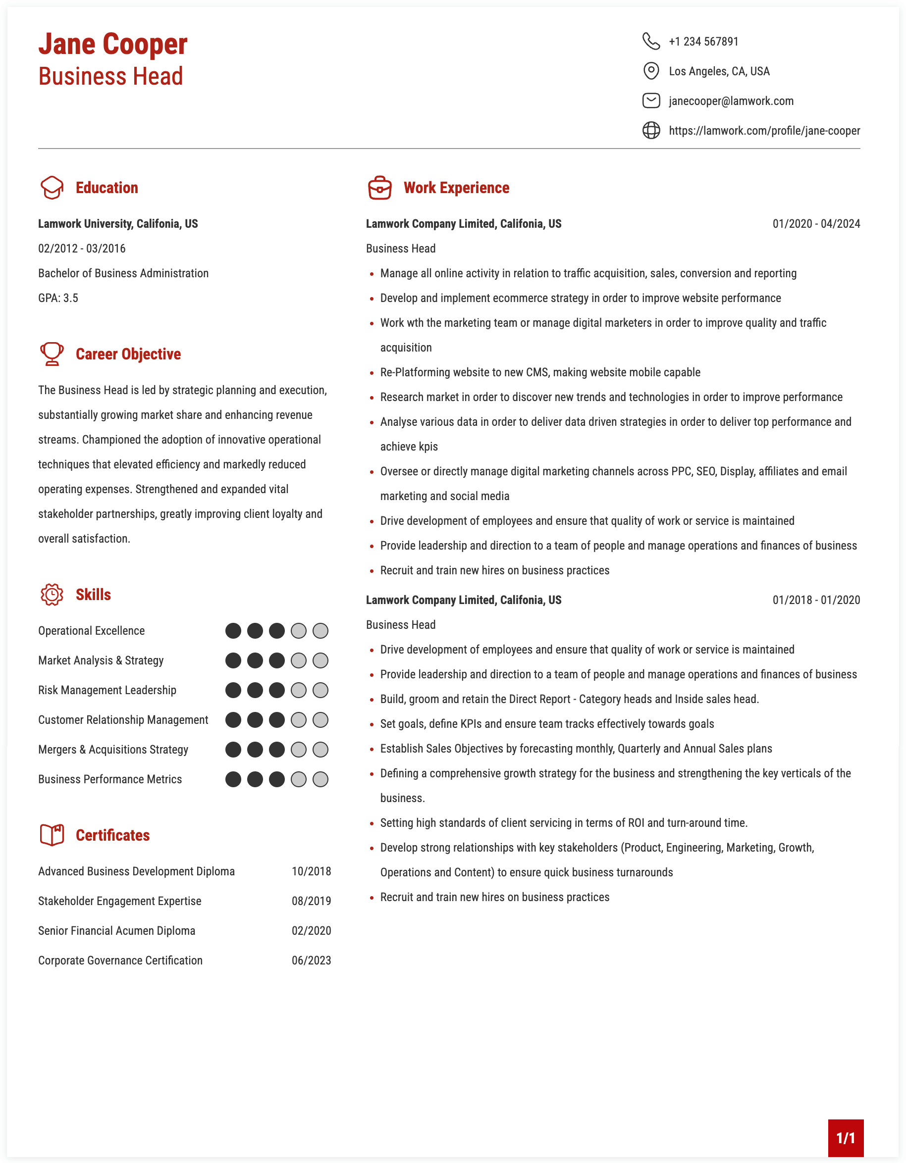 Business Head Resume Example