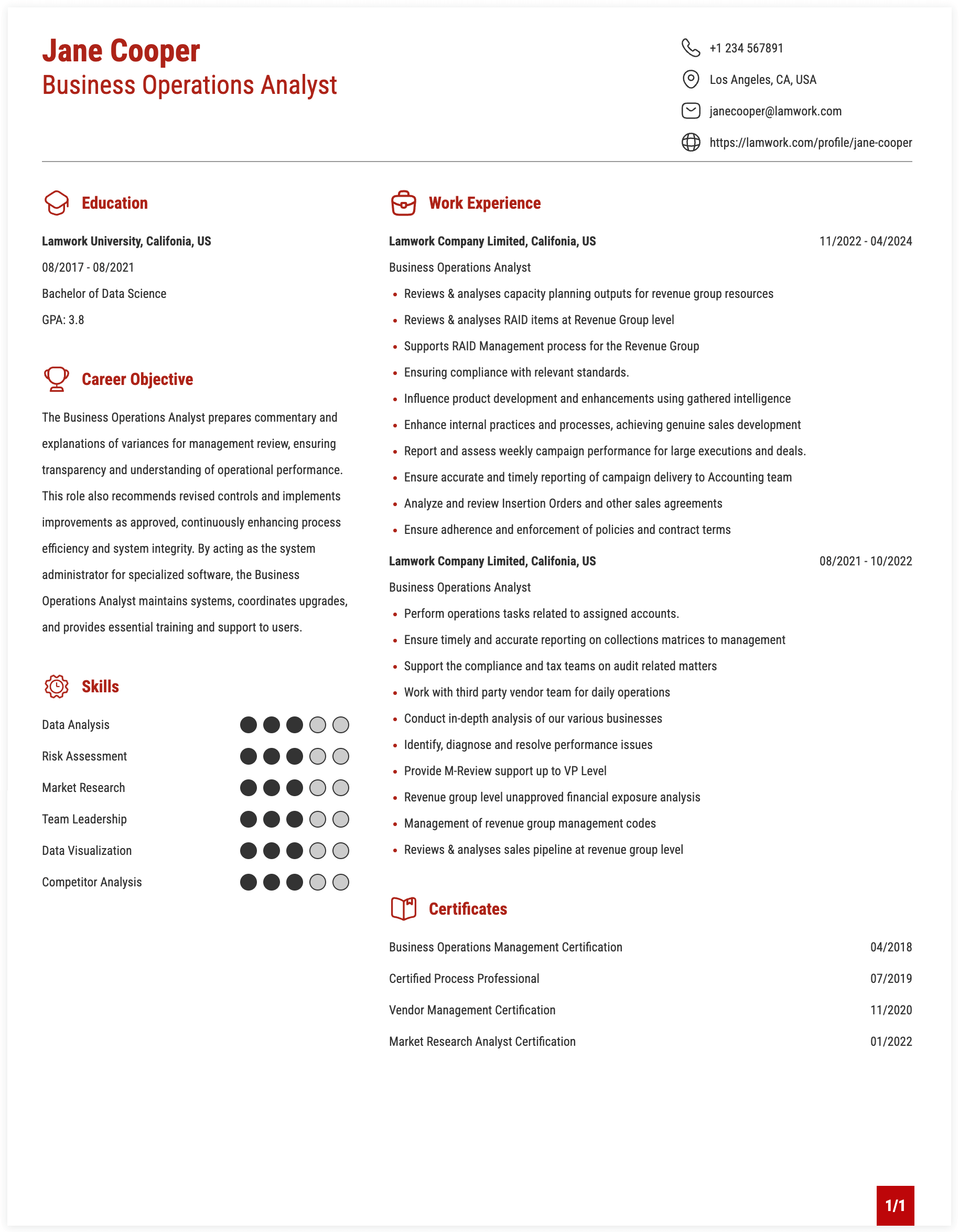 Business Operations Analyst Resume Example