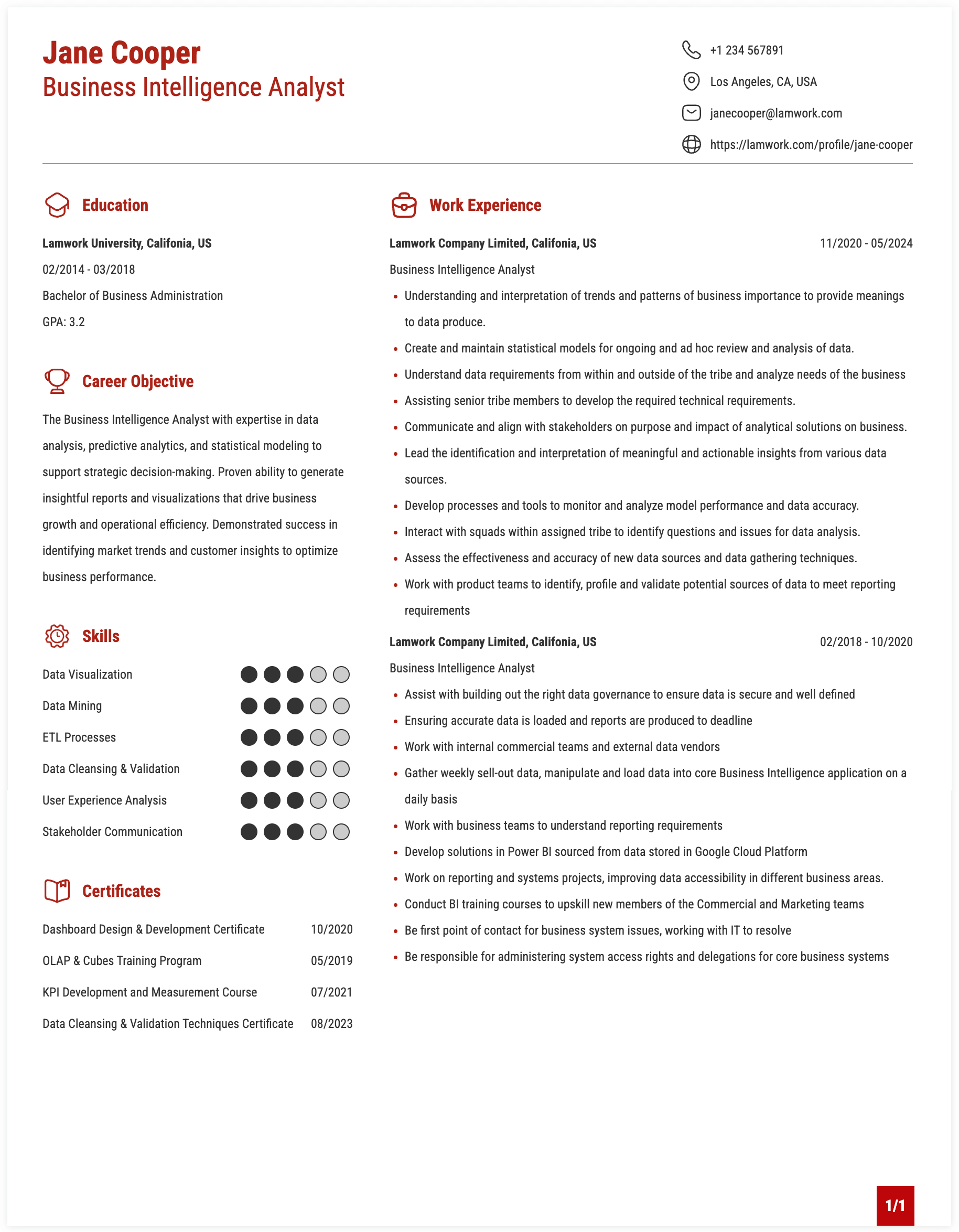 Business Intelligence Analyst Resume Example