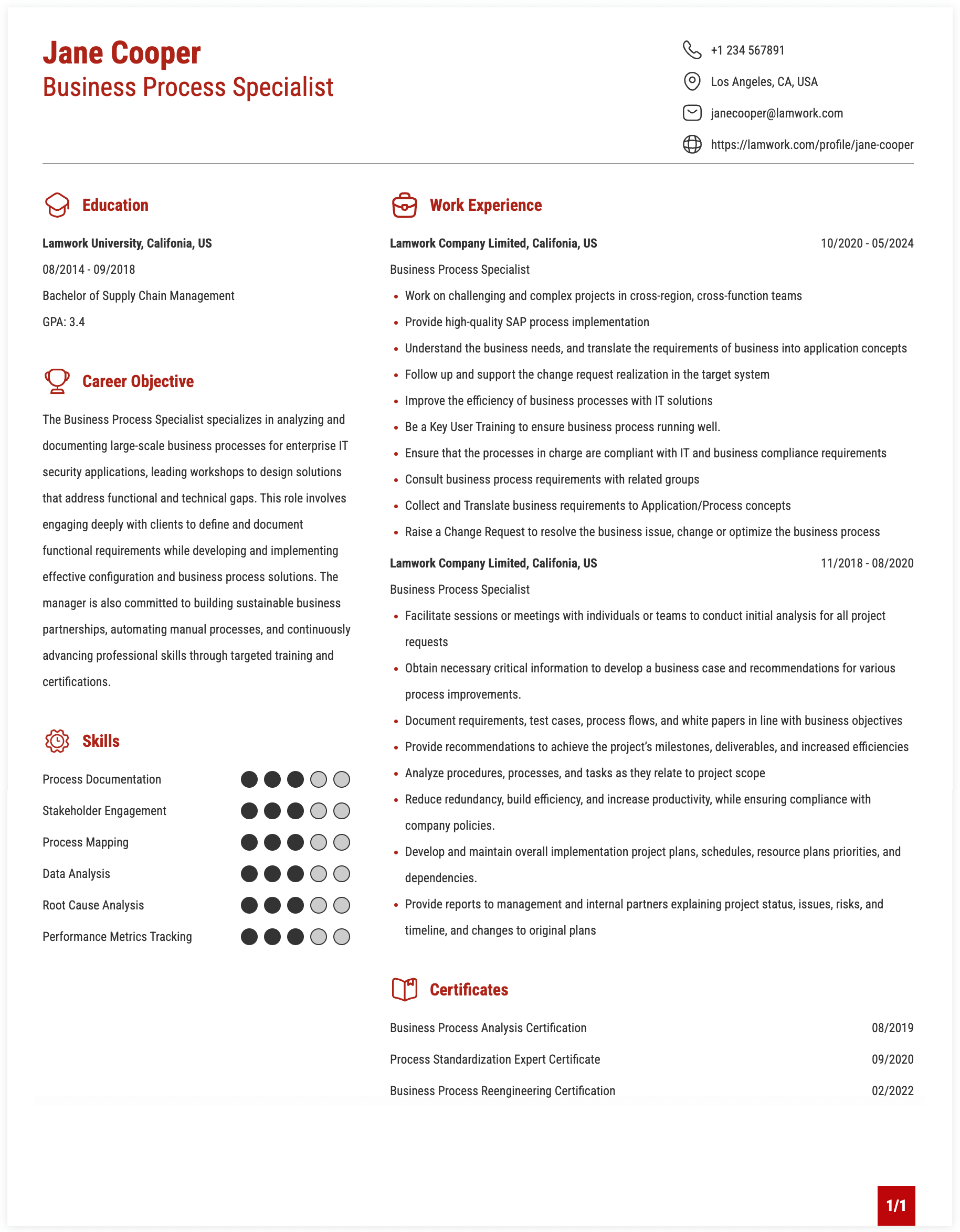Business Process Specialist Resume Example
