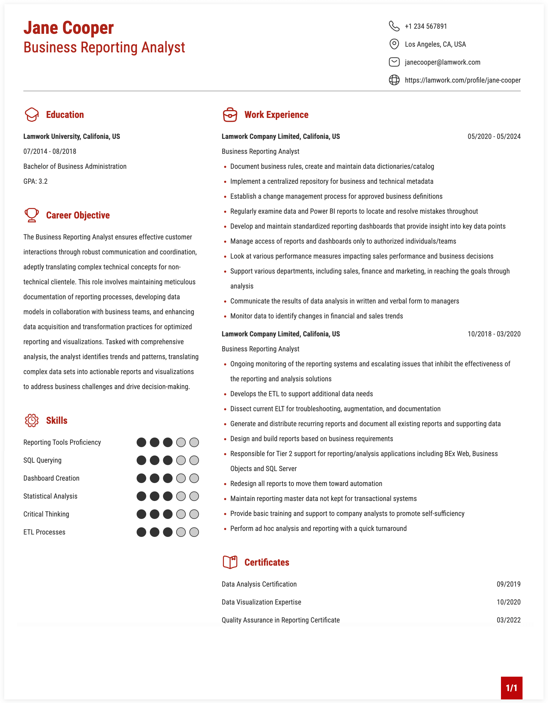 Business Reporting Analyst Resume Example
