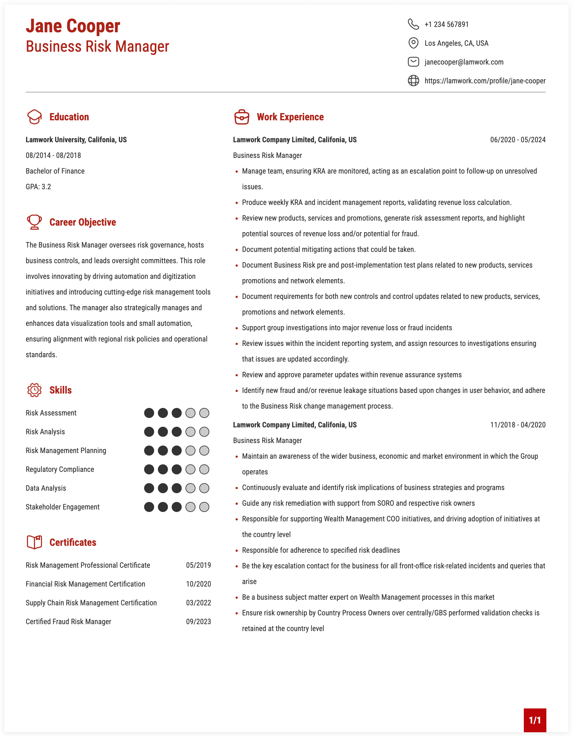 Business Risk Manager Resume Example