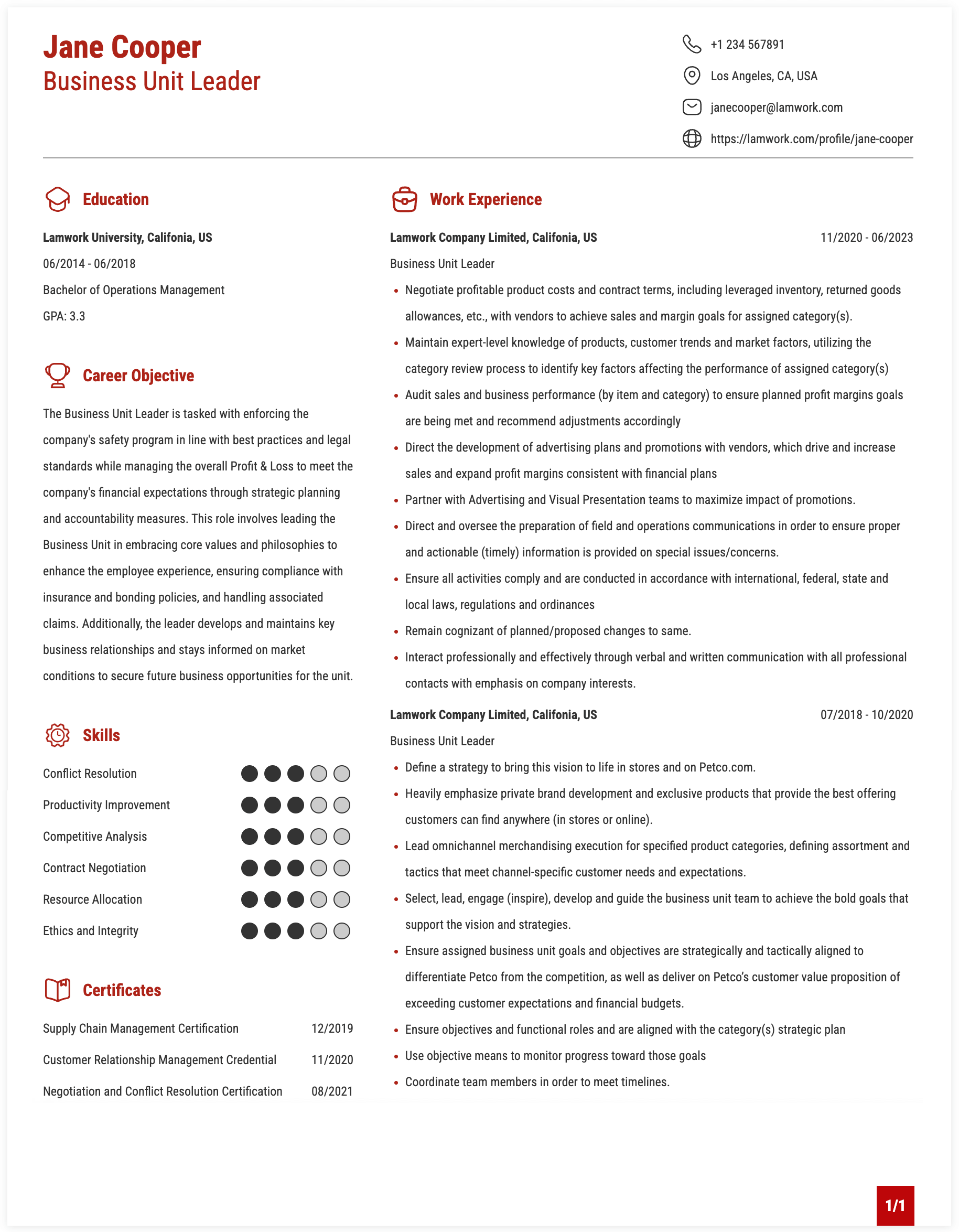 Business Unit Leader Resume Example