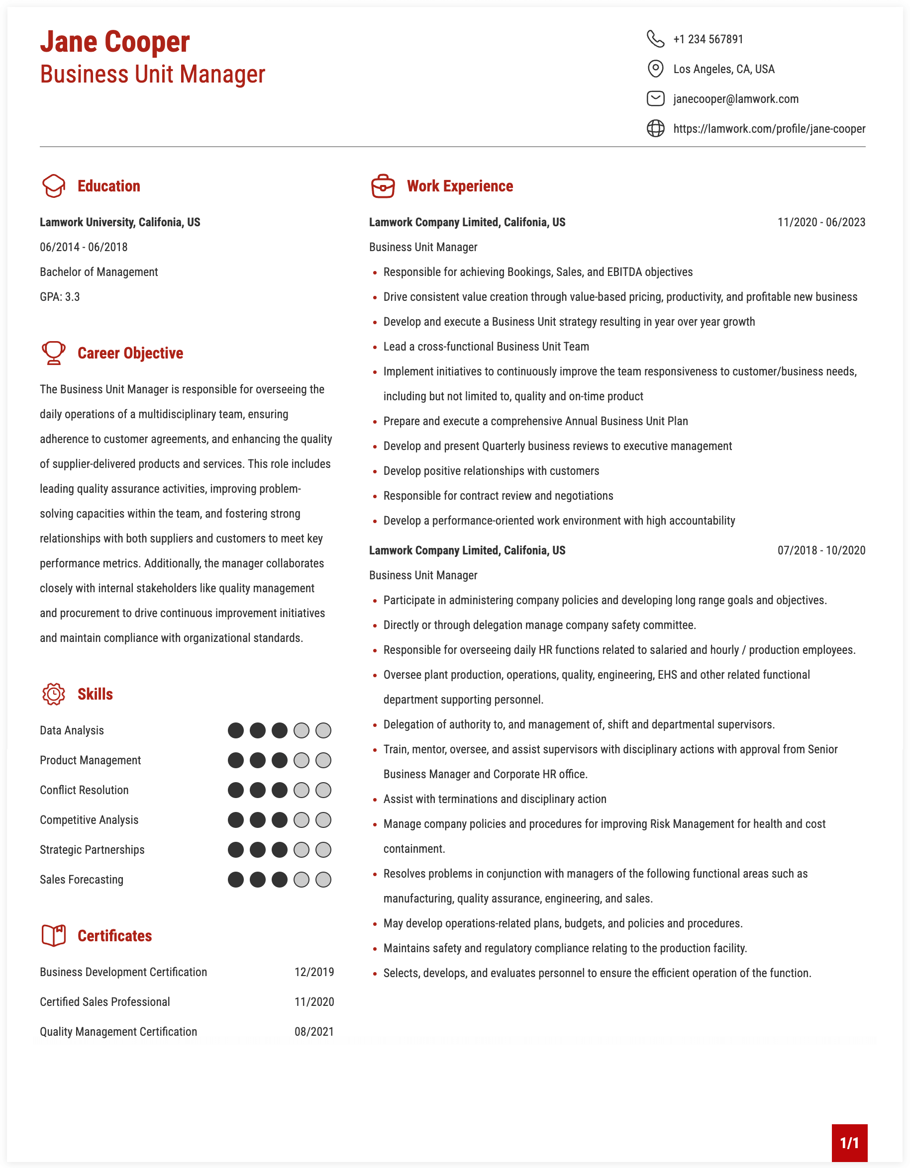 Business Unit Manager Resume Example