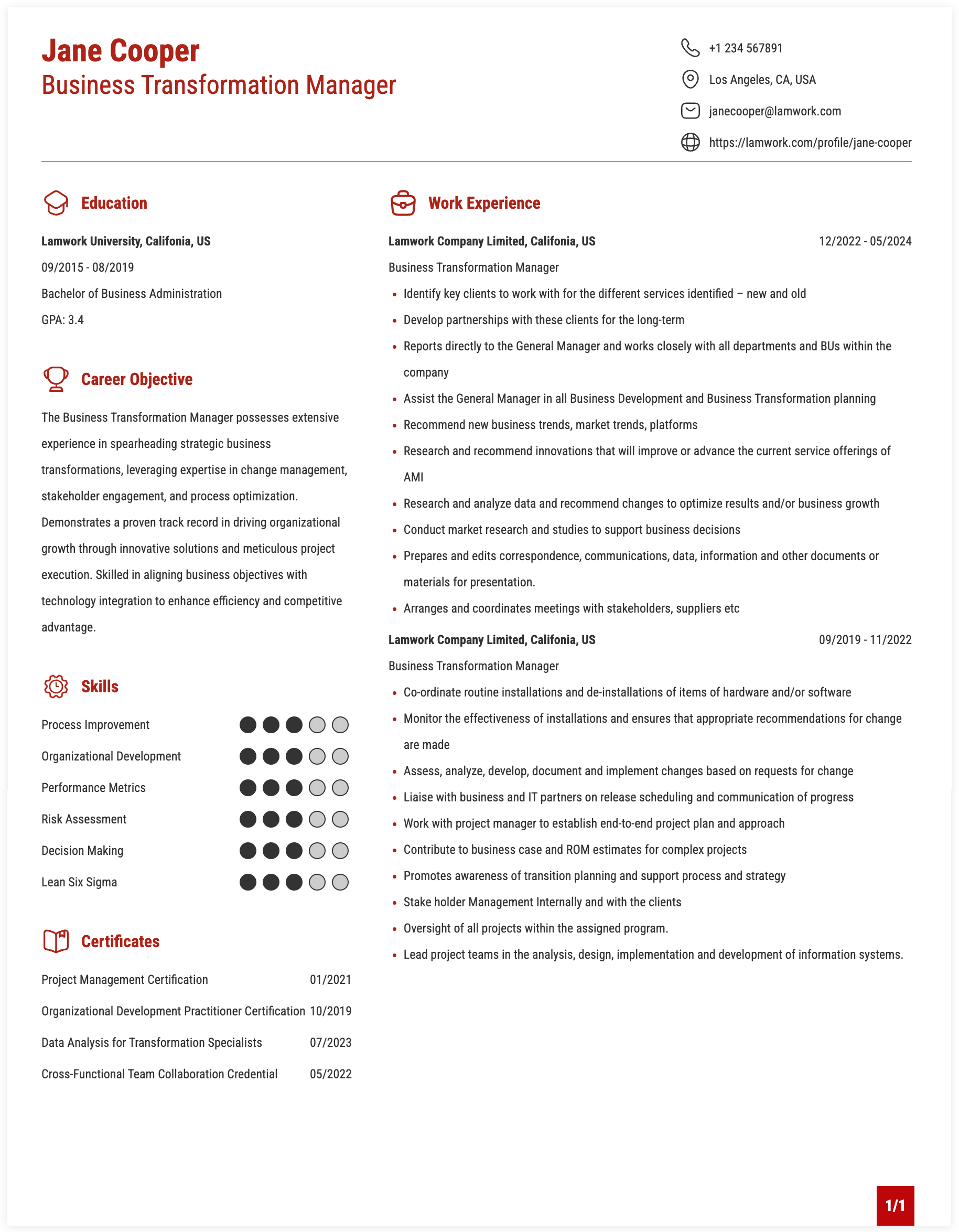 Business Transformation Manager Resume Example