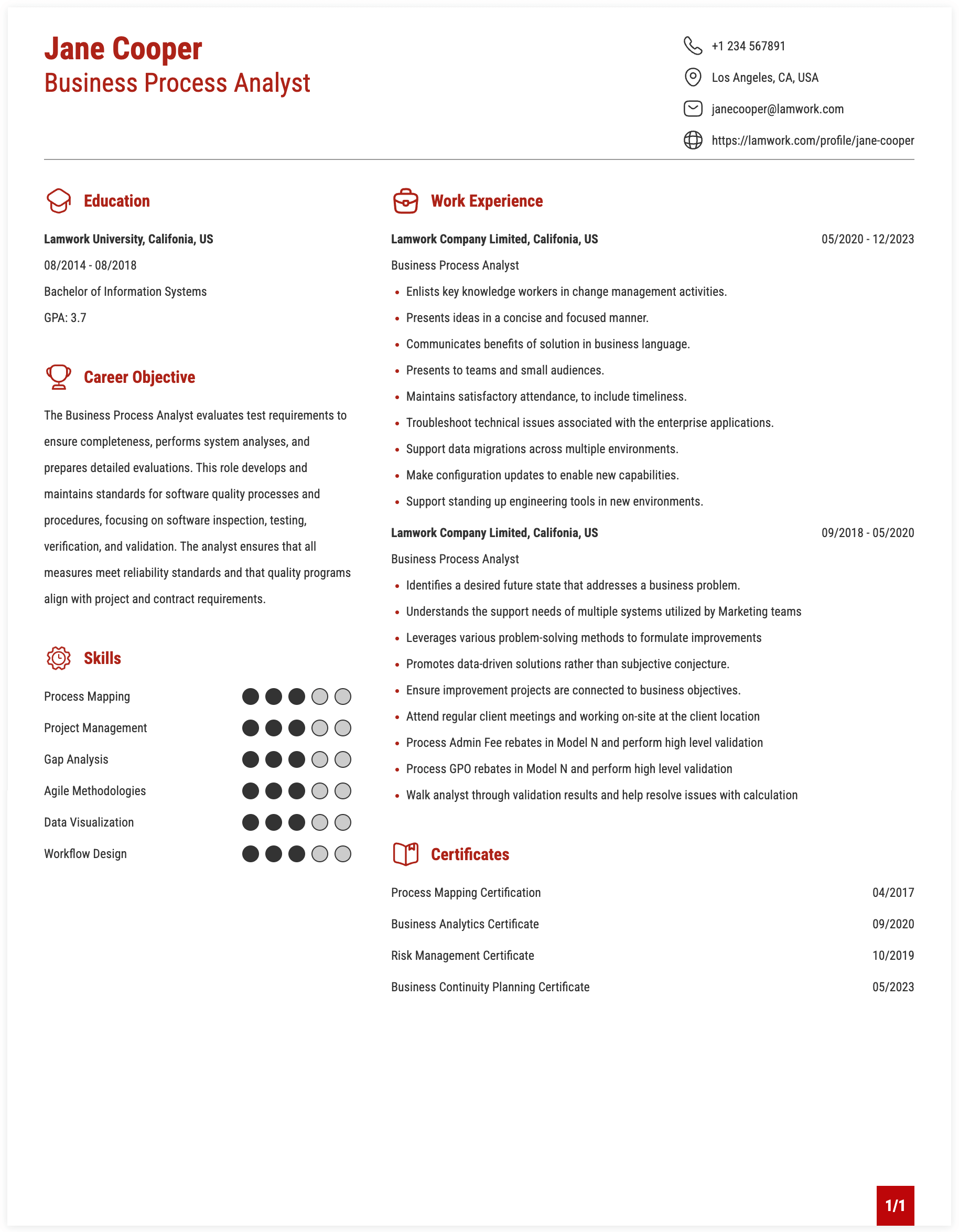 Business Process Analyst Resume Example