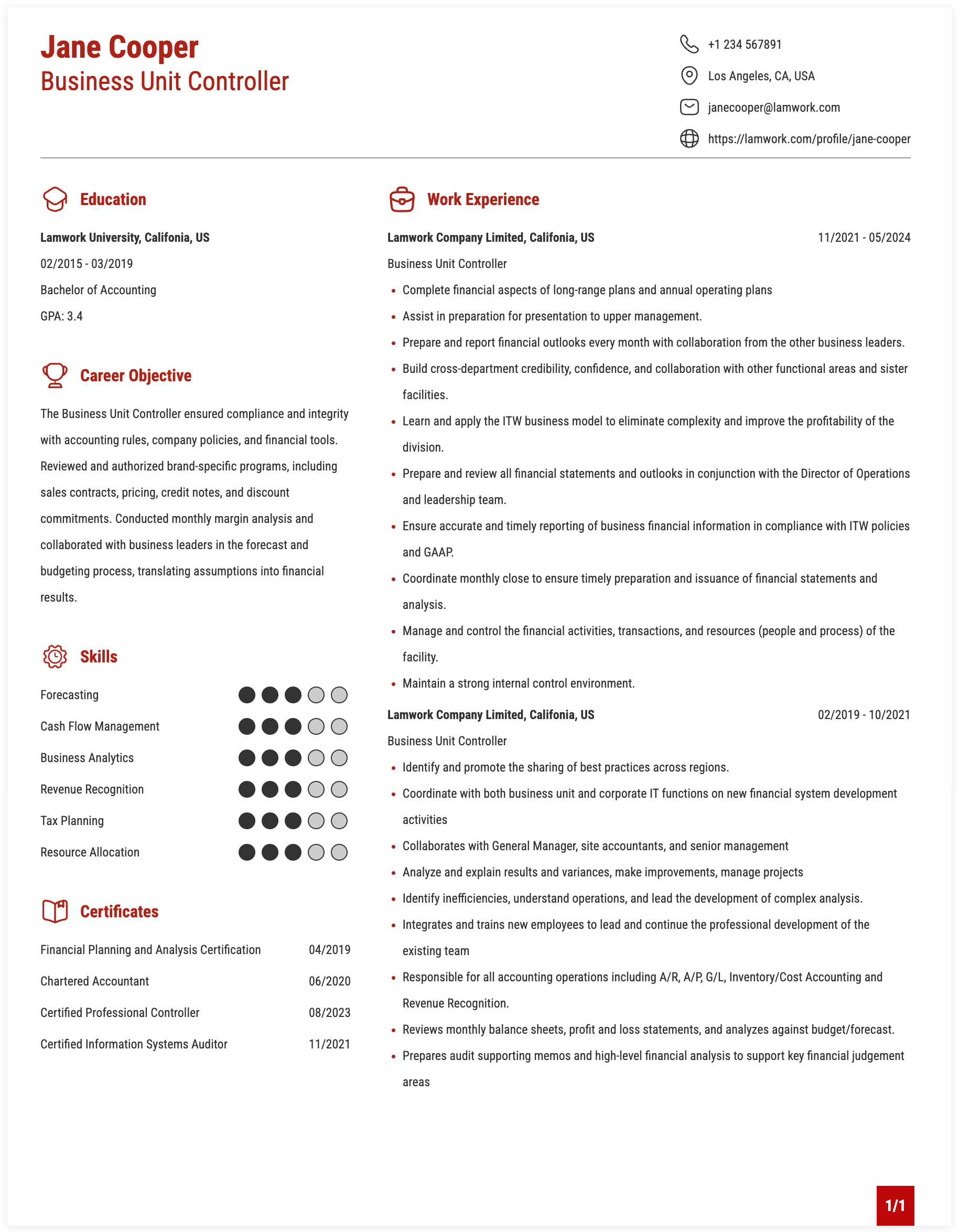 Business Unit Controller Resume Example
