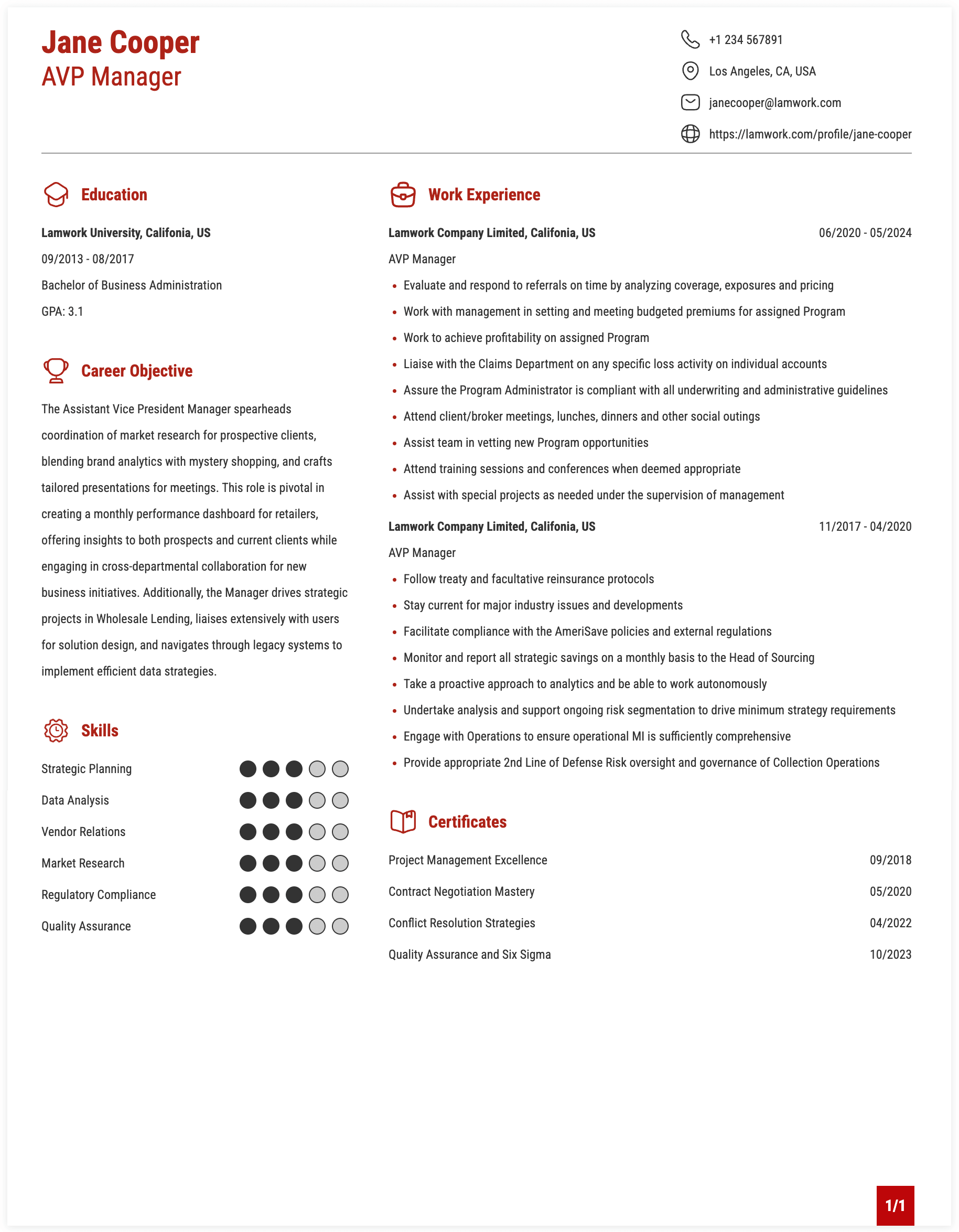 AVP Manager Resume Example