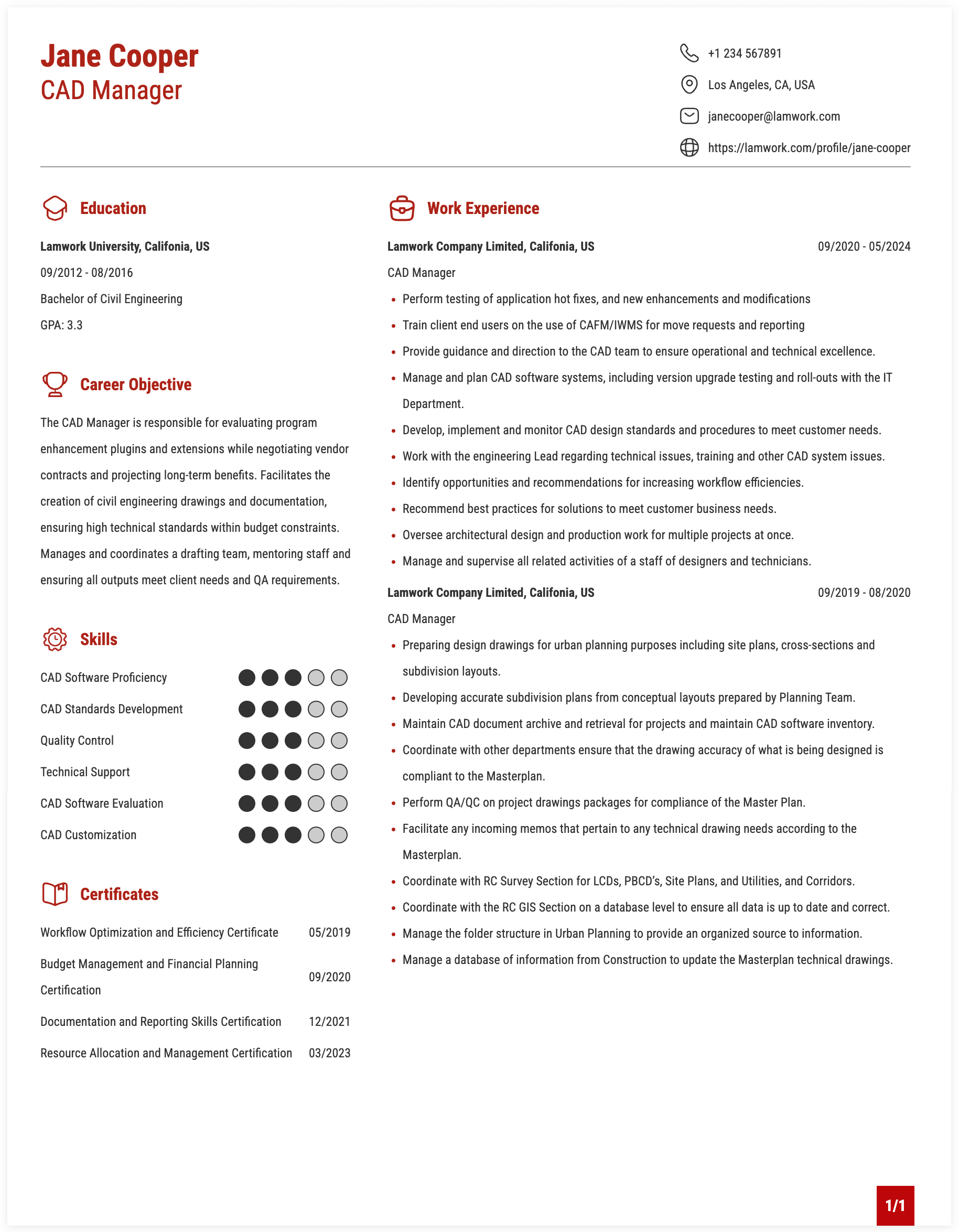 CAD Manager Resume Example