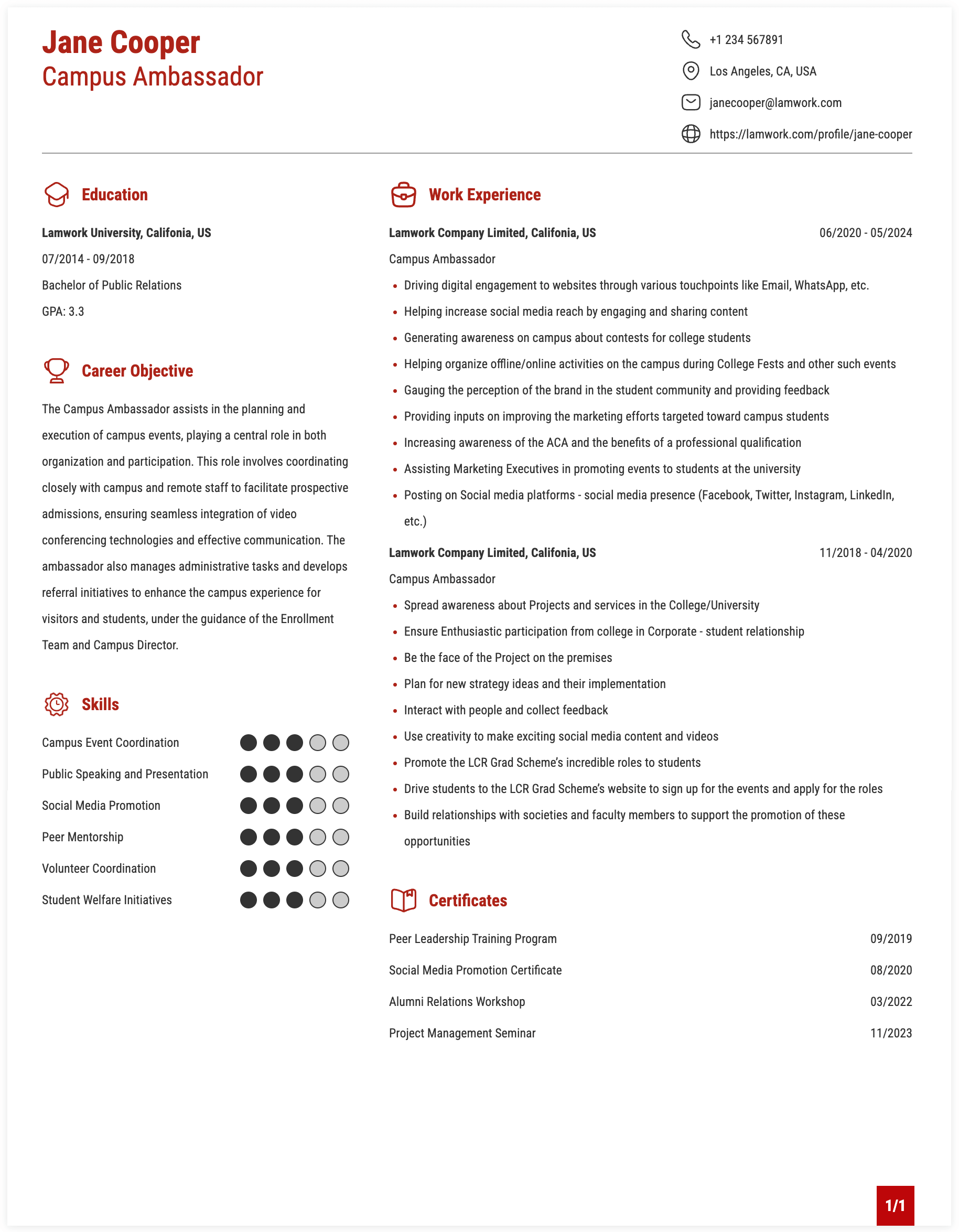 Campus Ambassador Resume Example