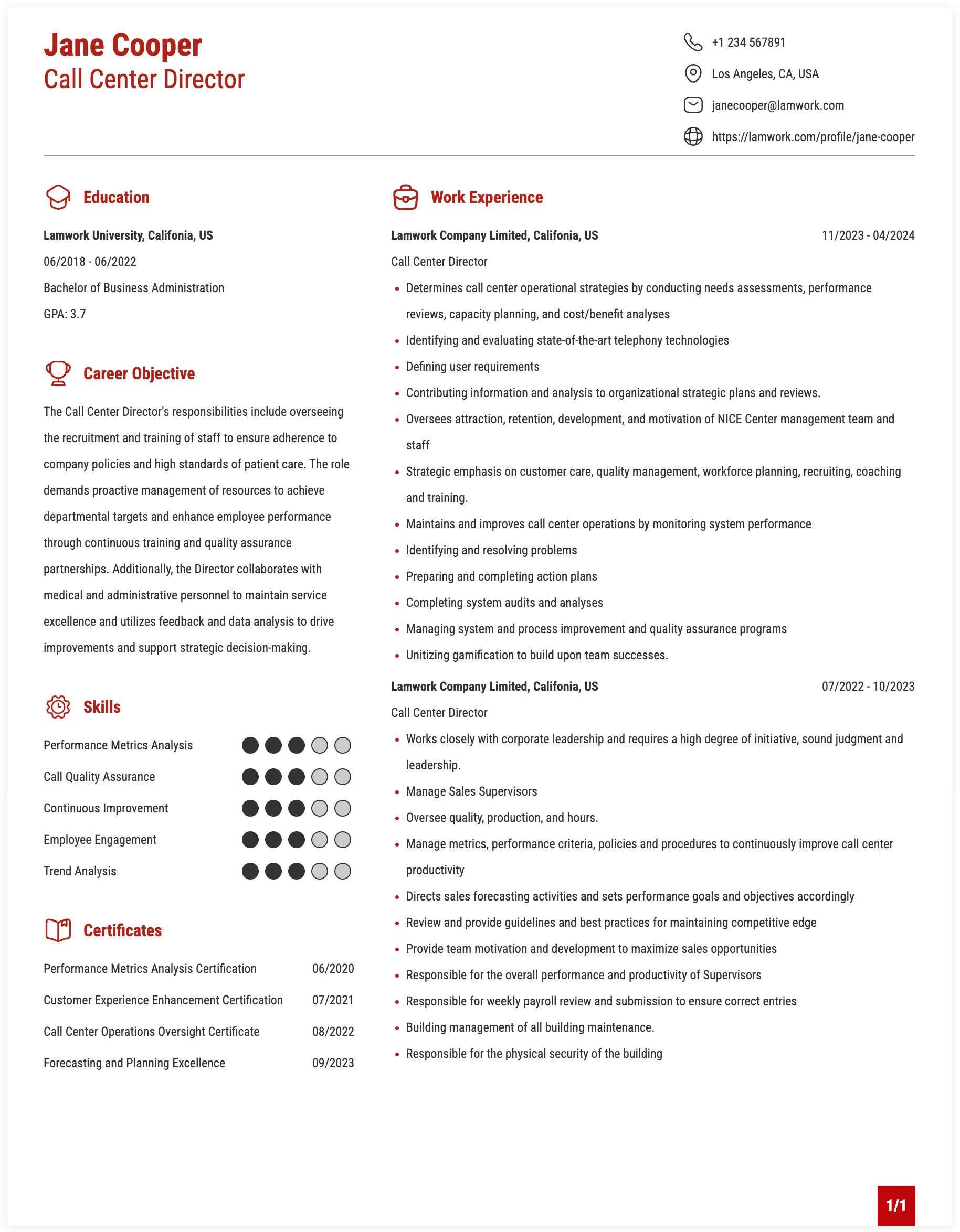 Call Center Director Resume Example
