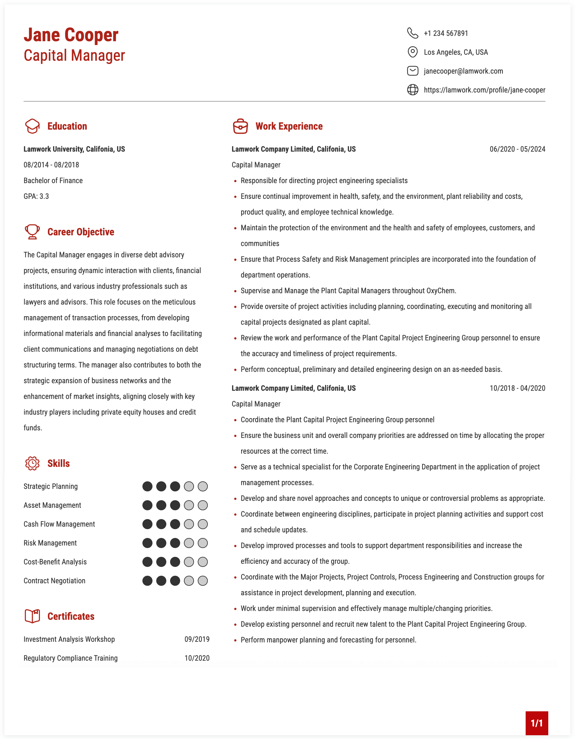 Capital Manager Resume Example