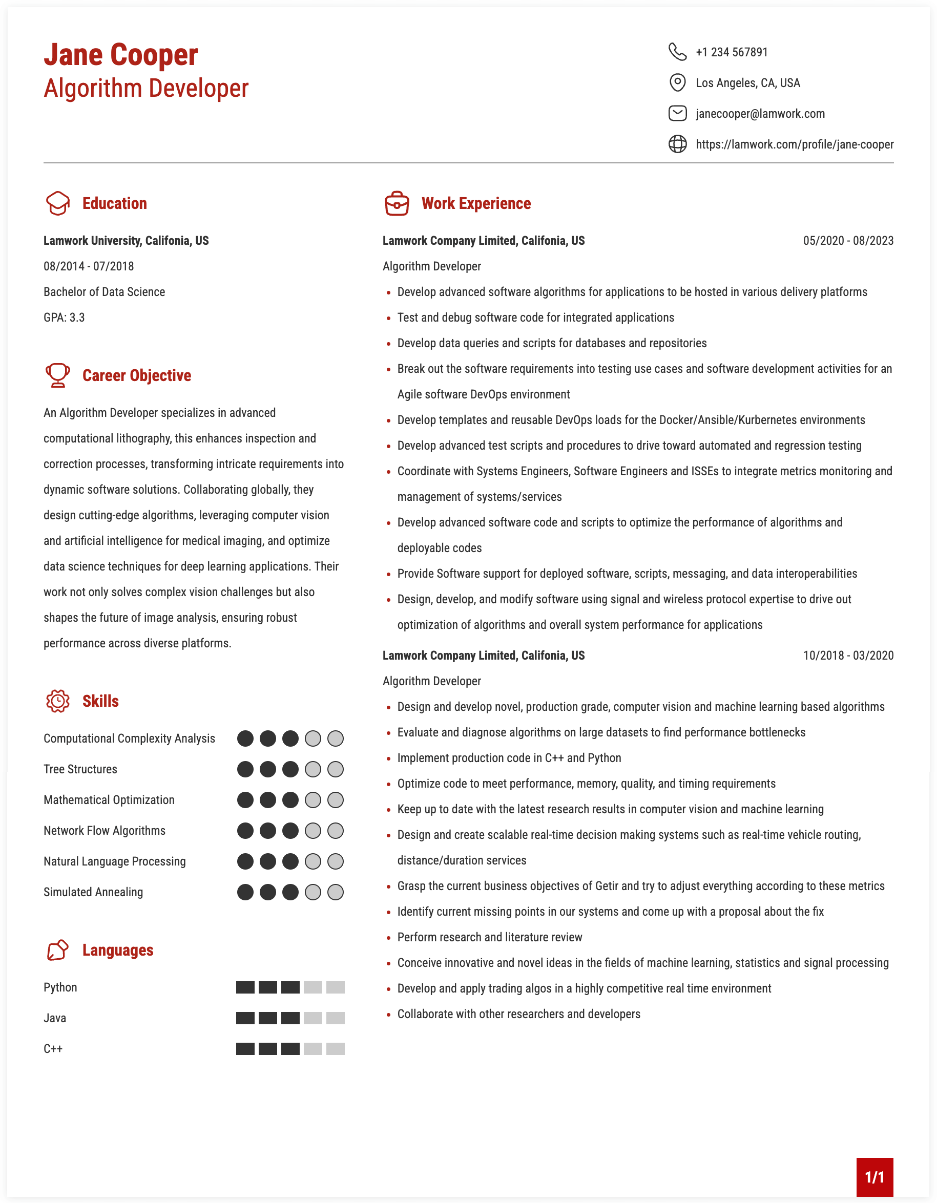 Algorithm Developer Resume Example
