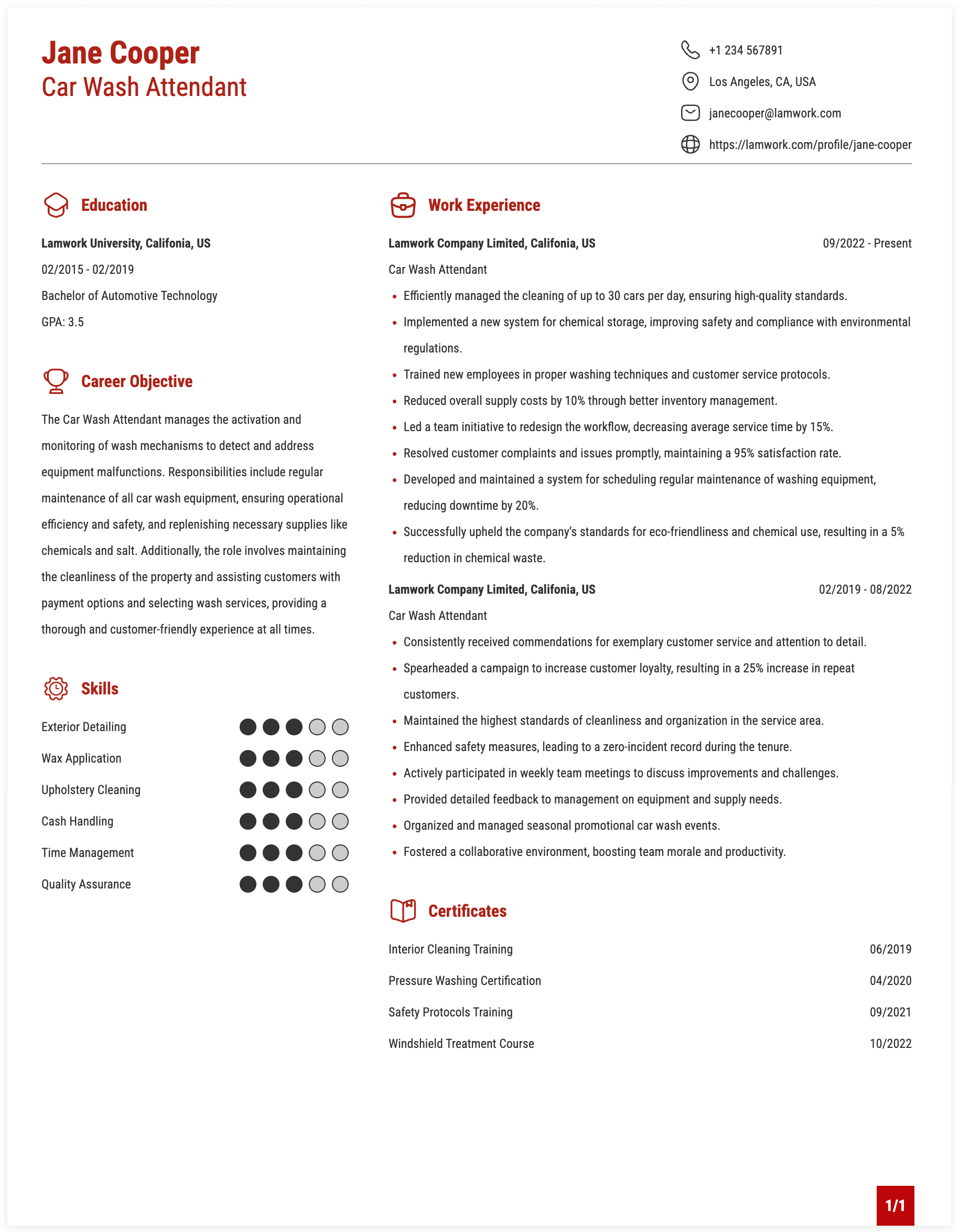 Car Wash Attendant Resume Example