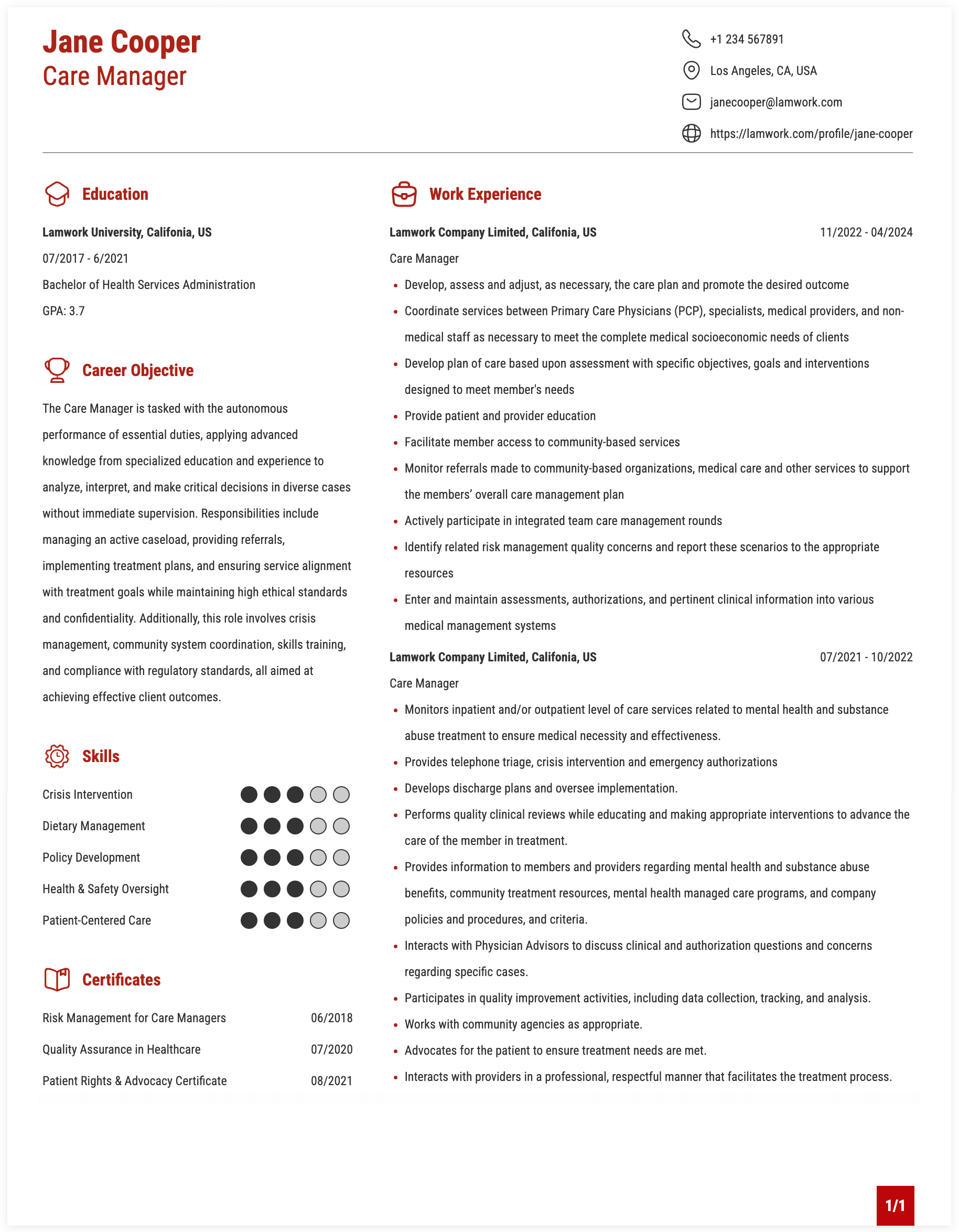 Care Manager Resume Example