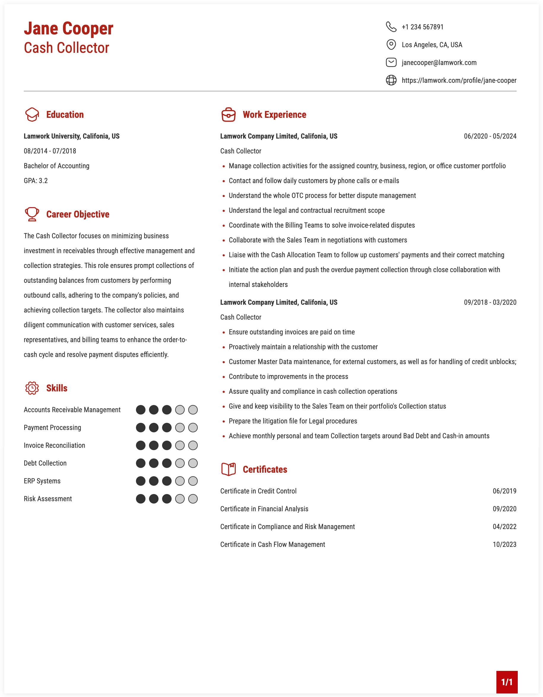 Cash Collector Resume Example