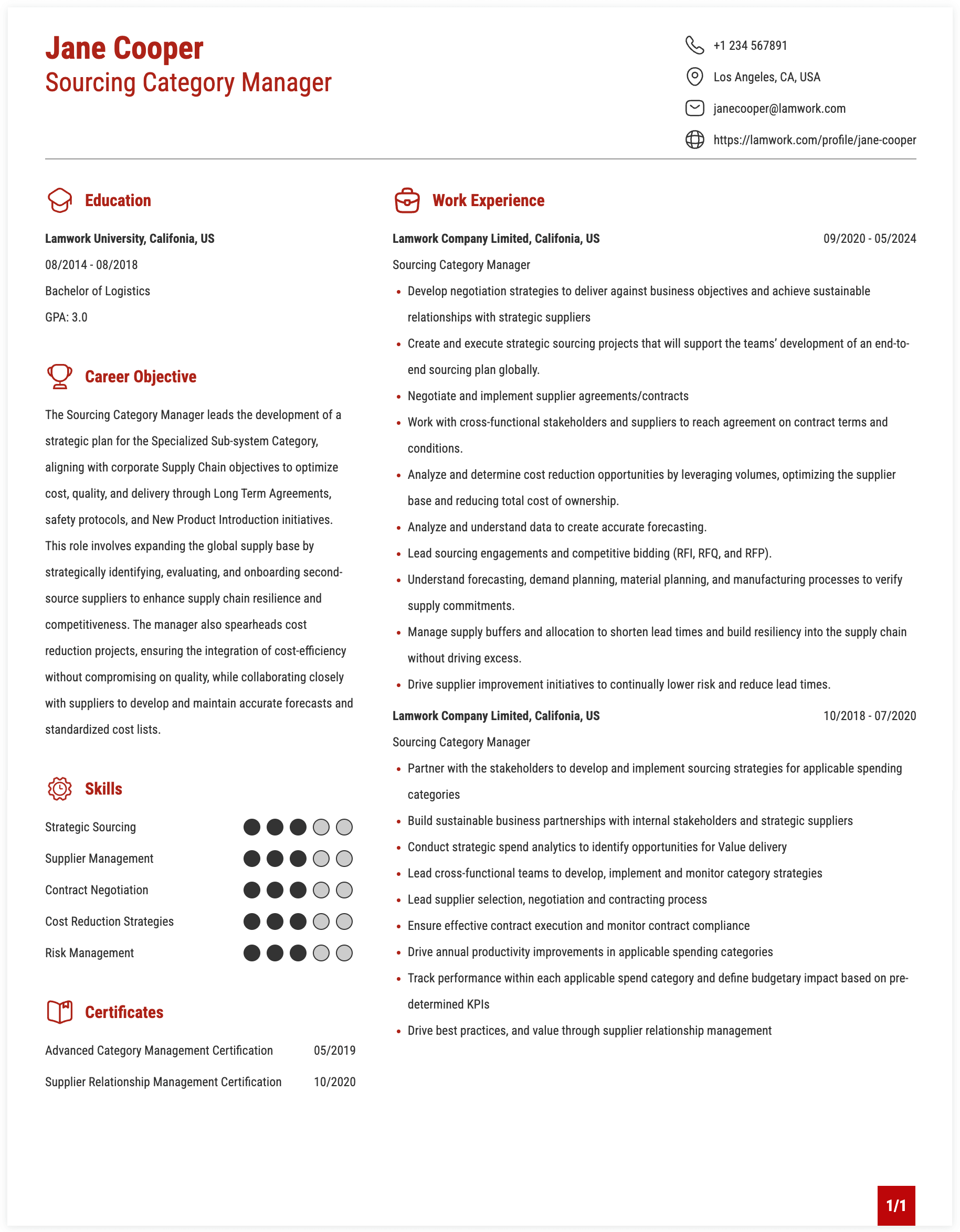 Sourcing Category Manager Resume Example
