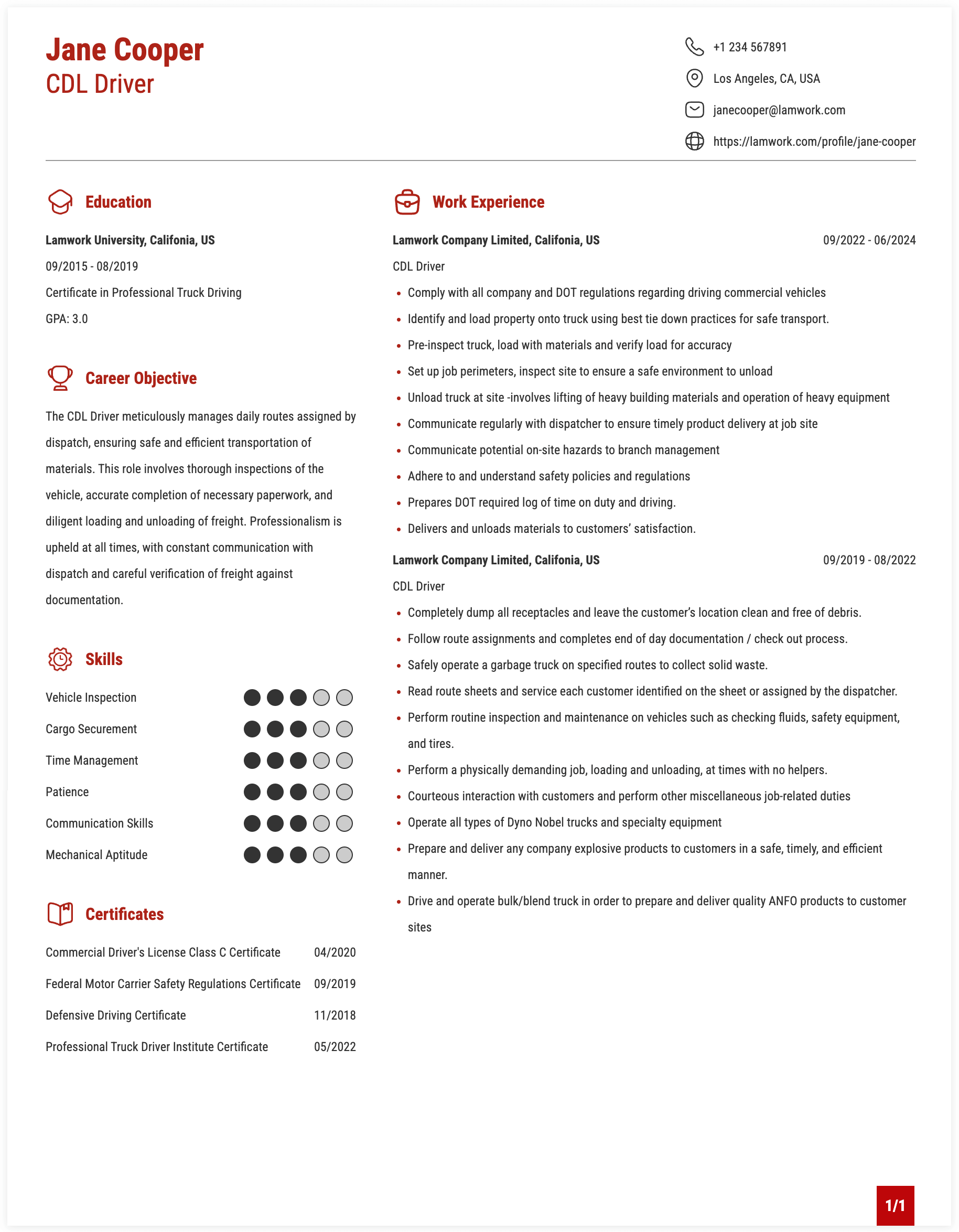 CDL Driver Resume Example