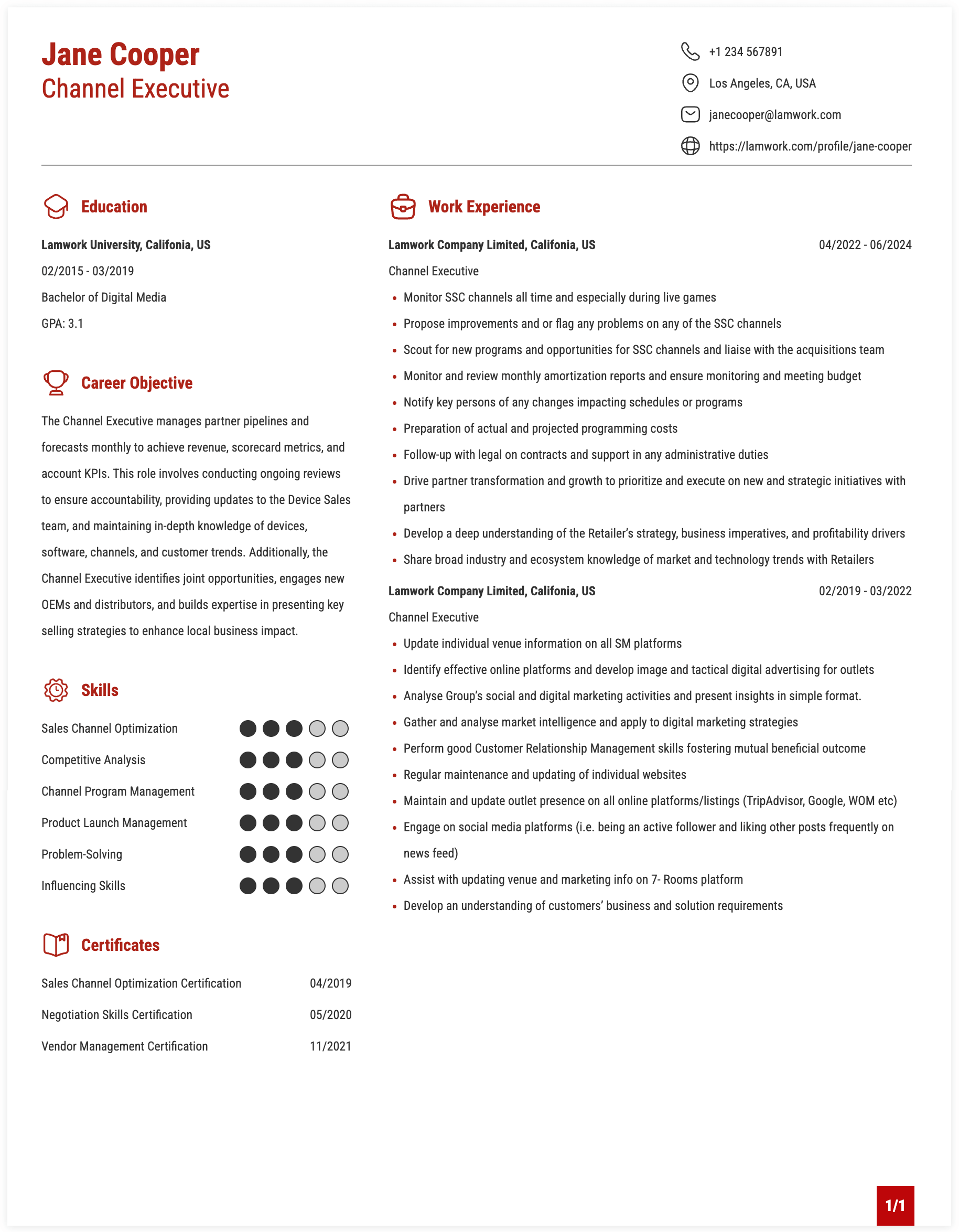 Channel Executive Resume Example