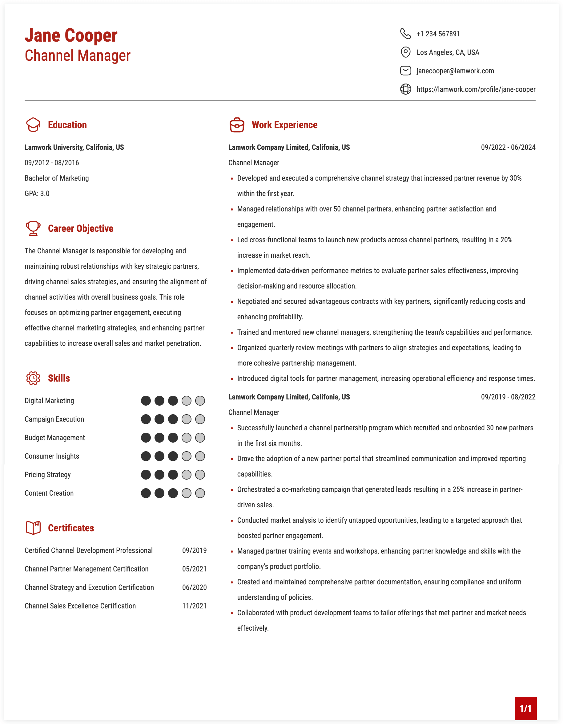 Channel Manager Resume Example