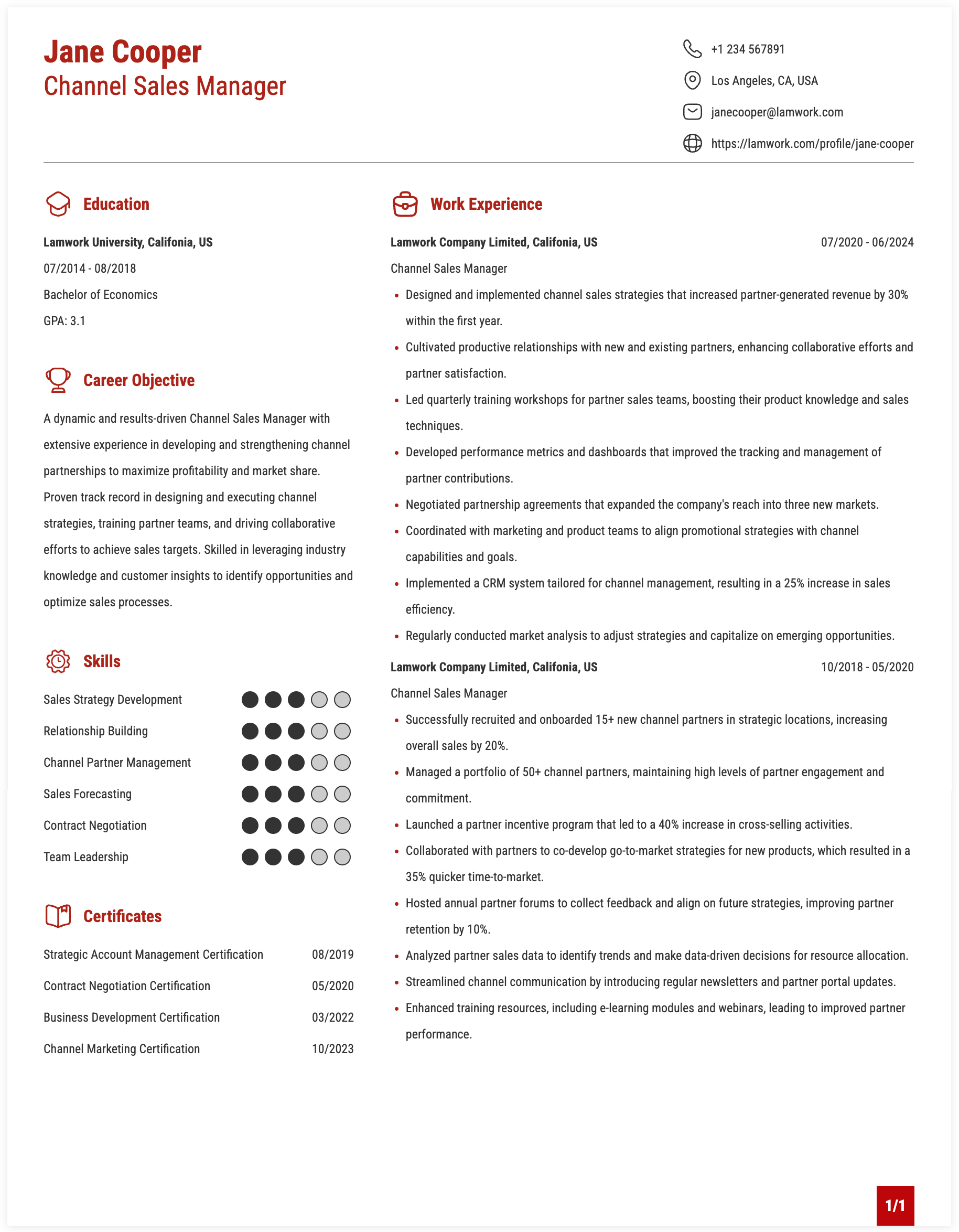 Channel Sales Manager Resume Example