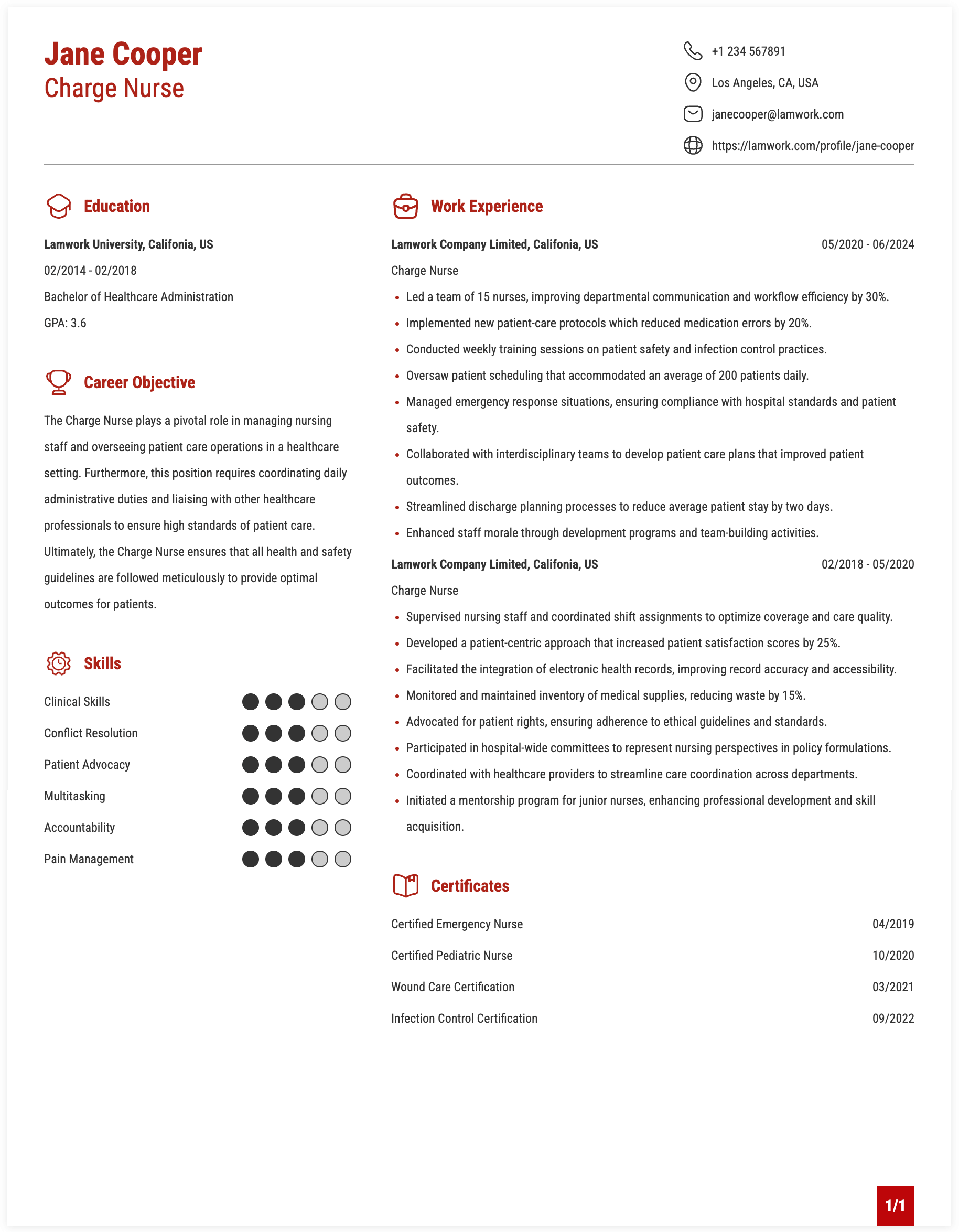 Charge Nurse Resume Example