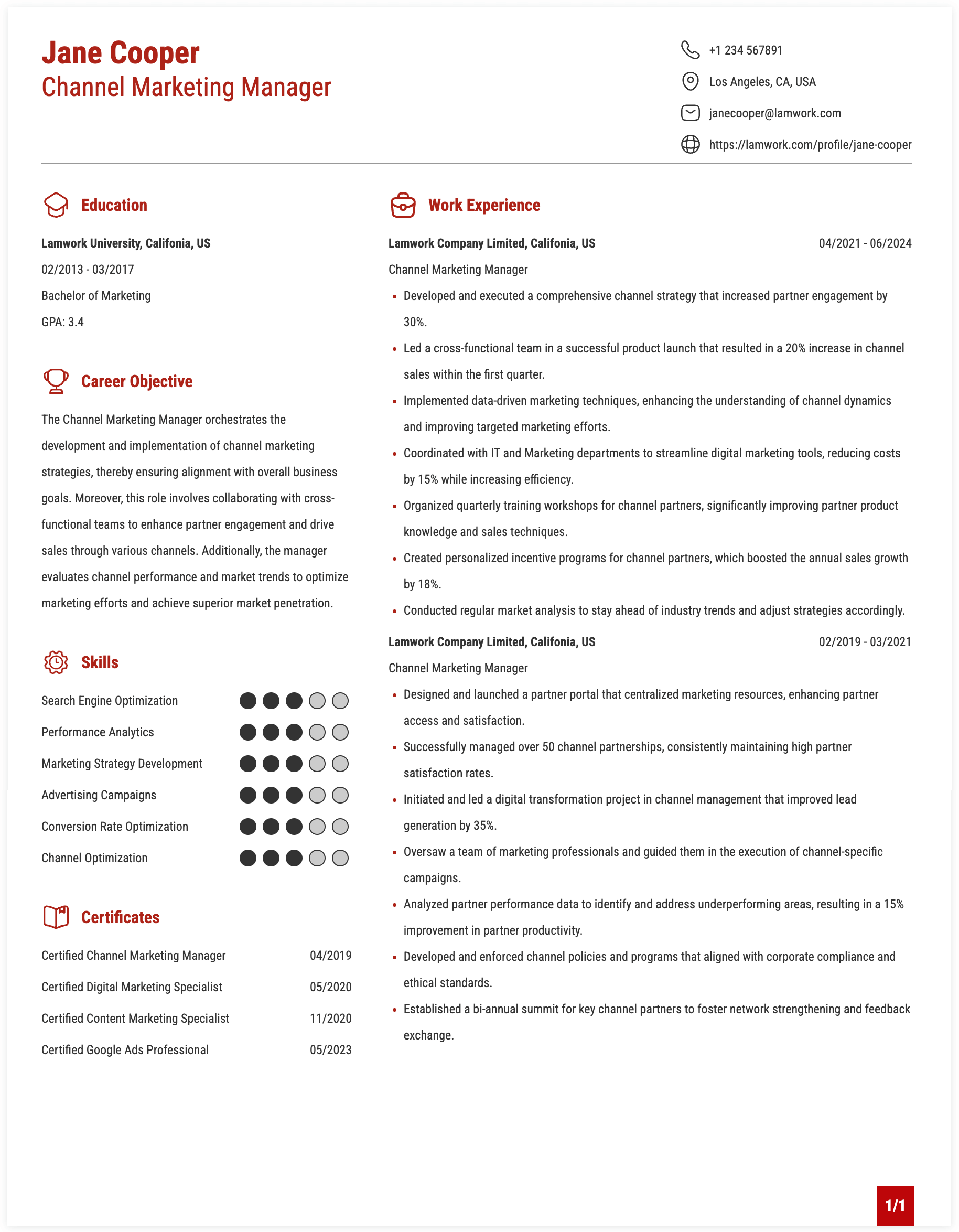Channel Marketing Manager Resume Example